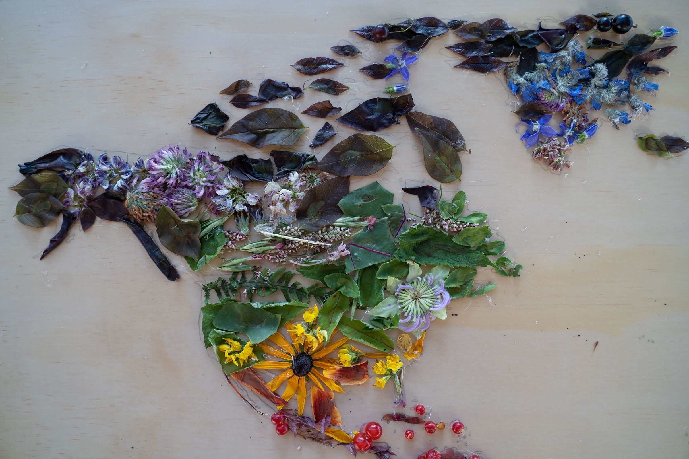 Creating a Map With Flowers + Constructing Your Own Artistic Style : 5 ...