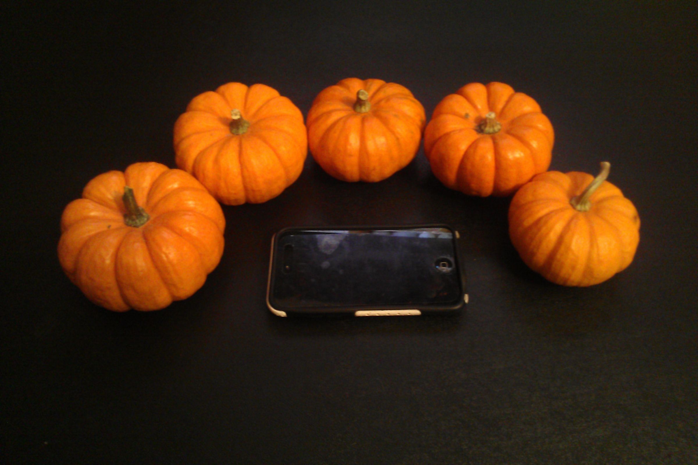 Make a Phone Stand From a Pumpkin! : 8 Steps - Instructables