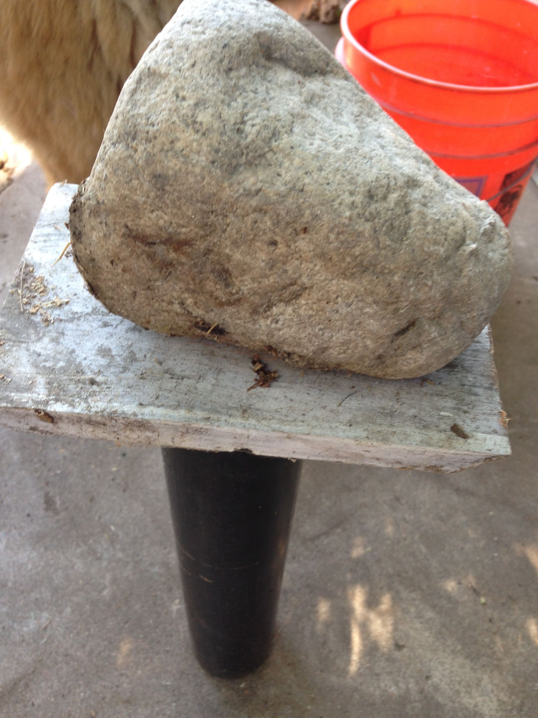 Mosquito Ovitrap : 5 Steps - Instructables