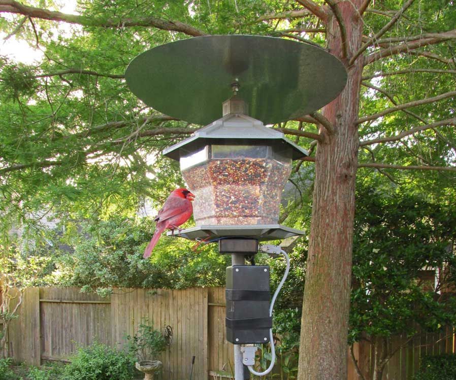 Bird Feeder Monitor : 7 Steps (with Pictures) - Instructables