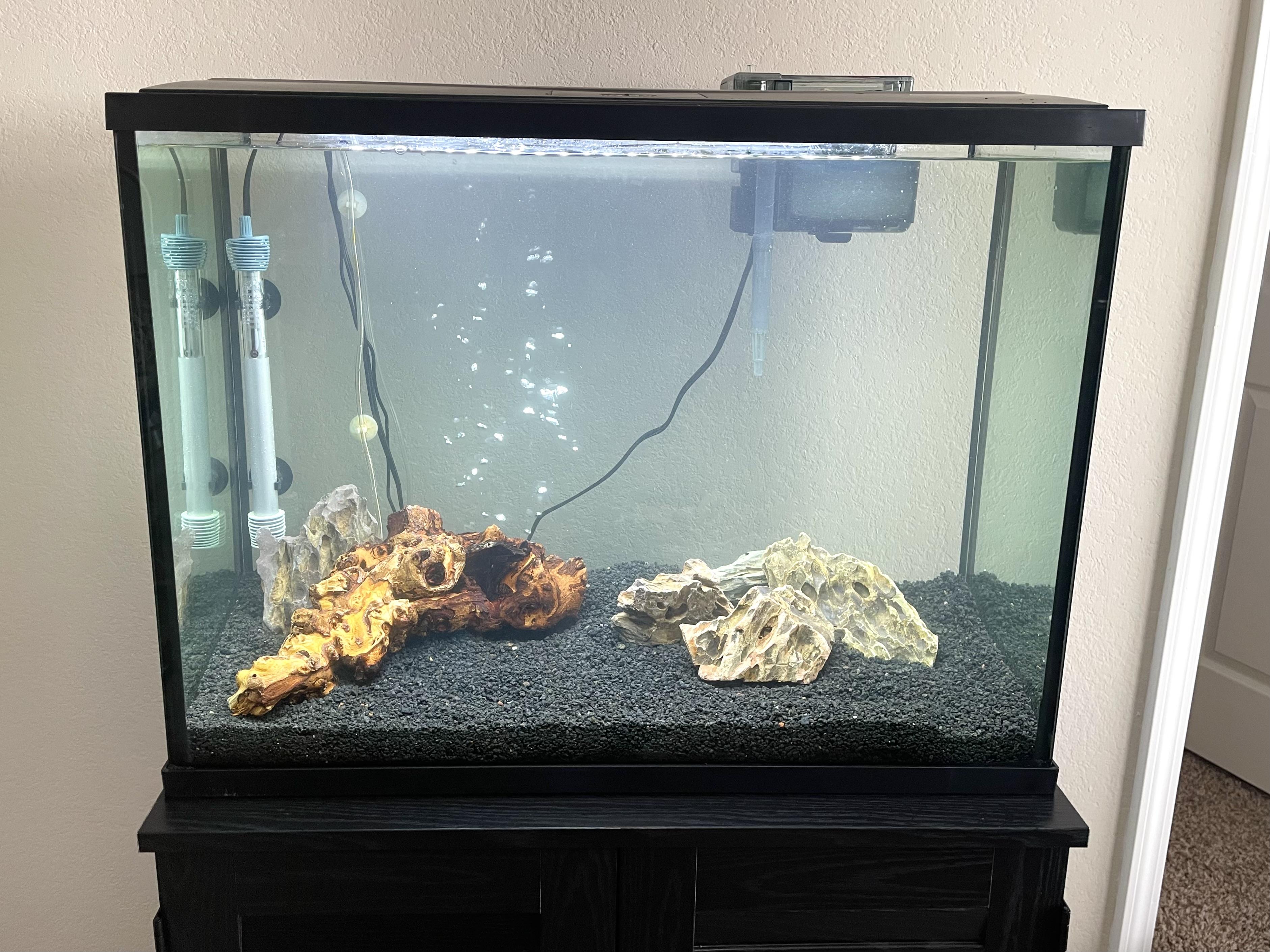 How to Set Up a Tropical Aquarium : 11 Steps (with Pictures ...