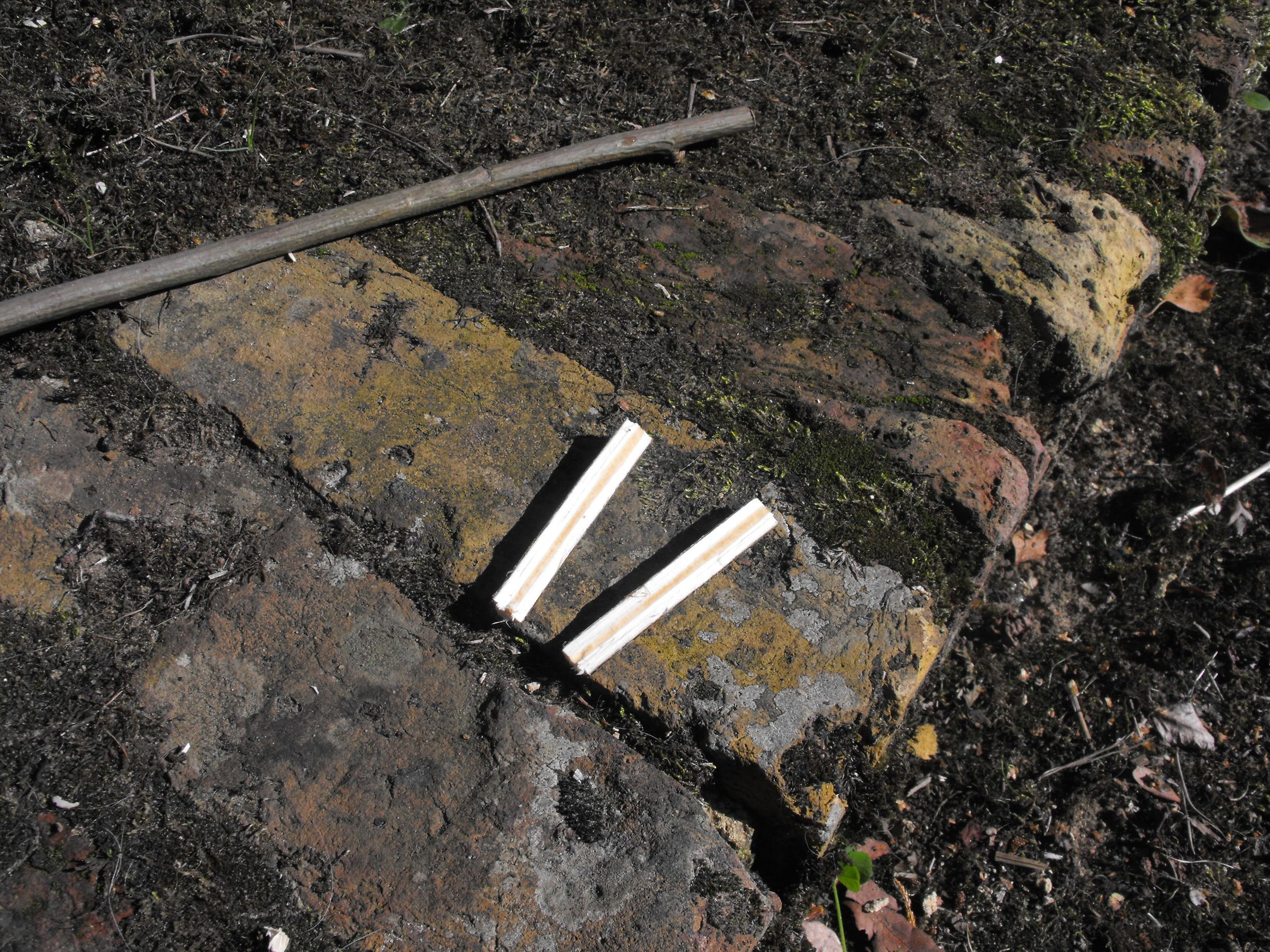 Campfire Toasting Fork : 5 Steps (with Pictures) - Instructables