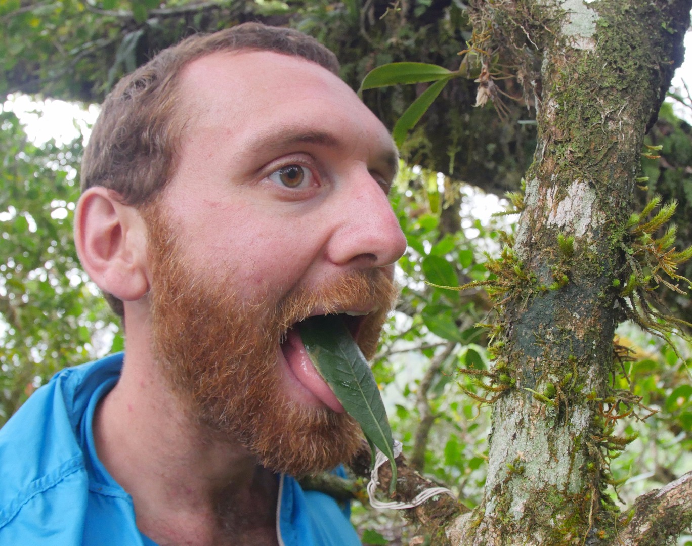 Fiber-Optic Jungle Insect Traffic Taster : 17 Steps (with Pictures ...