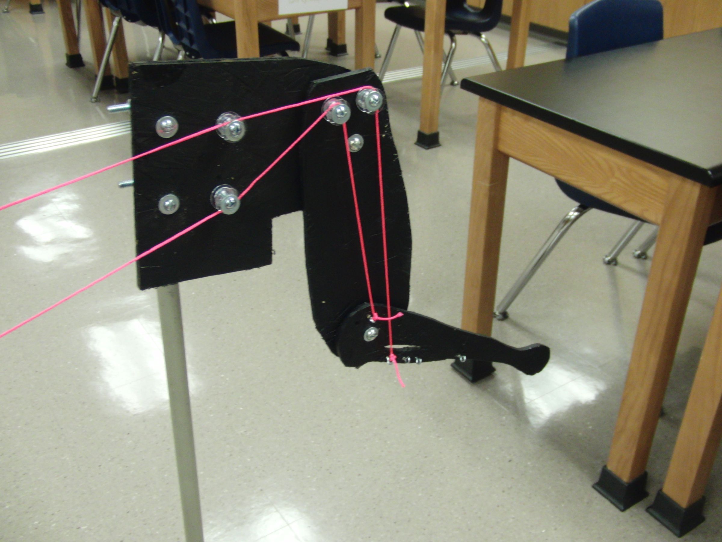 Human Arm Model : 13 Steps (with Pictures) - Instructables