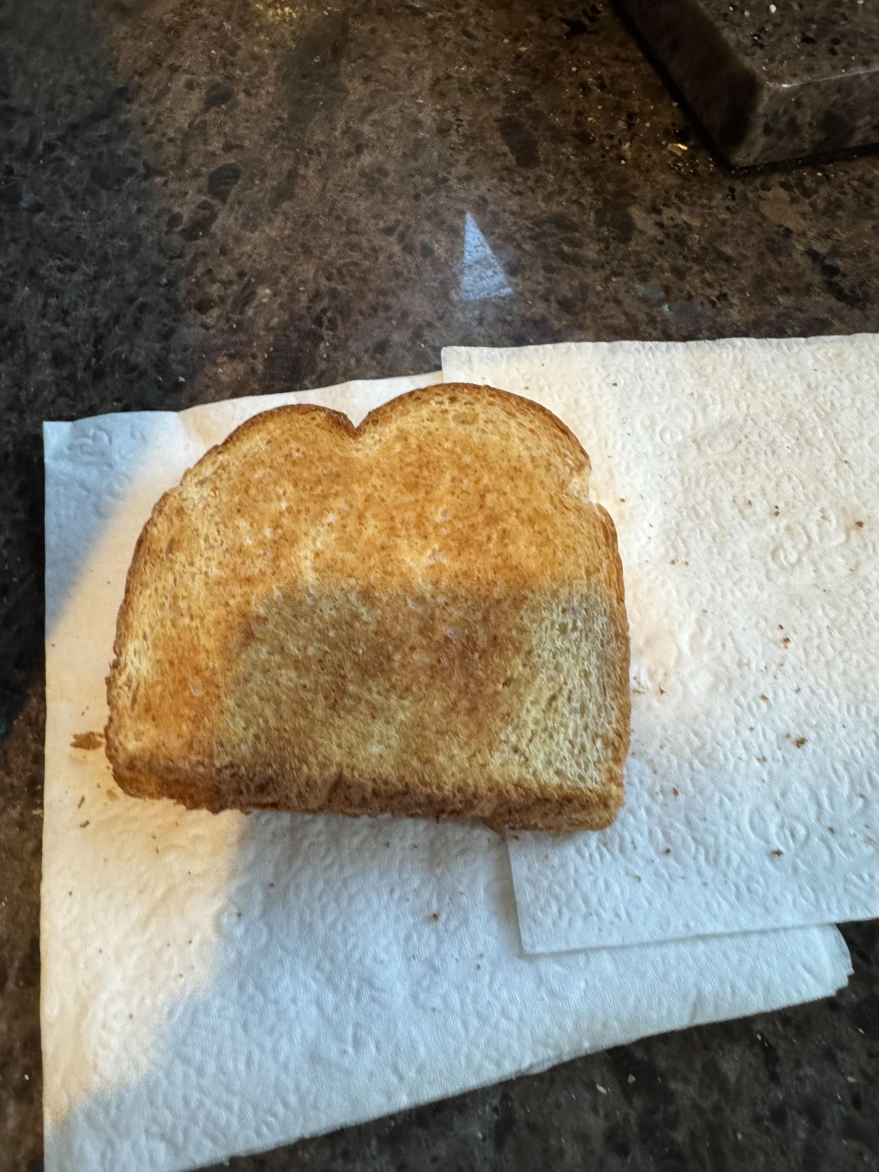 Toasted Nutella Sandwich : 6 Steps - Instructables
