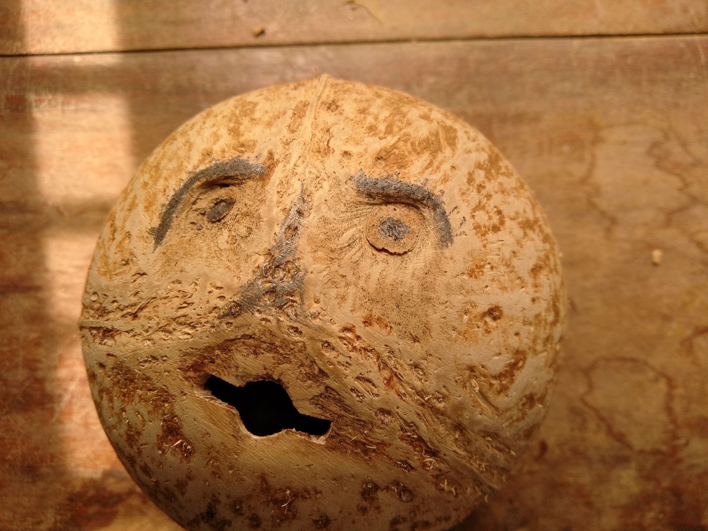 USEFUL THINGS USING COCONUT SHELL : 6 Steps - Instructables