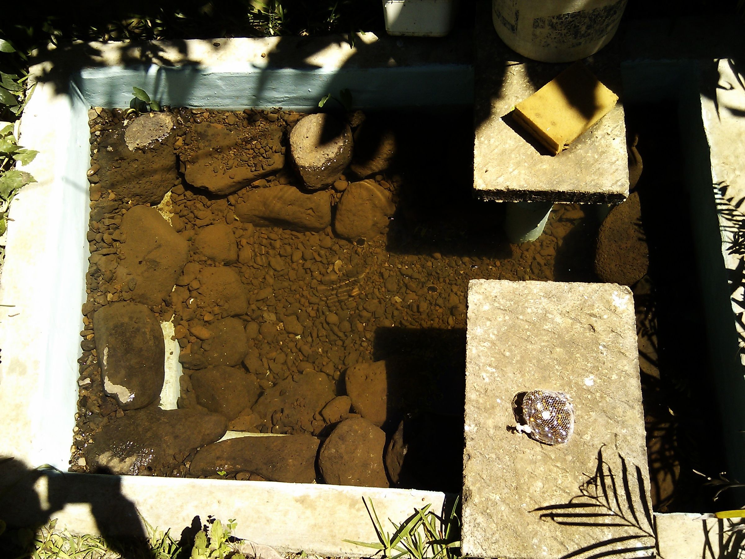 Concrete Pond : 9 Steps (with Pictures) - Instructables
