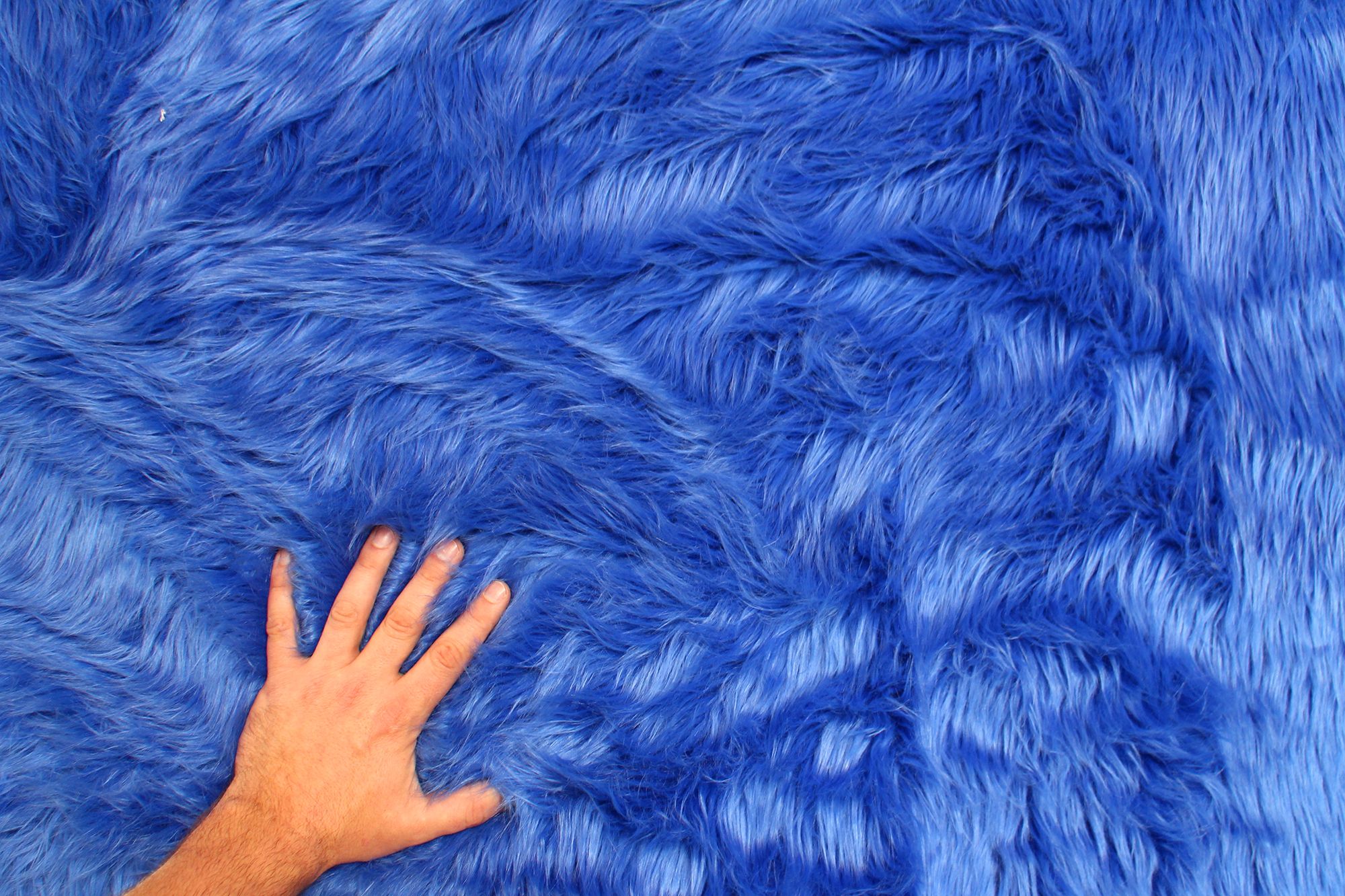 Cookie Monster Rug : 21 Steps (with Pictures) - Instructables
