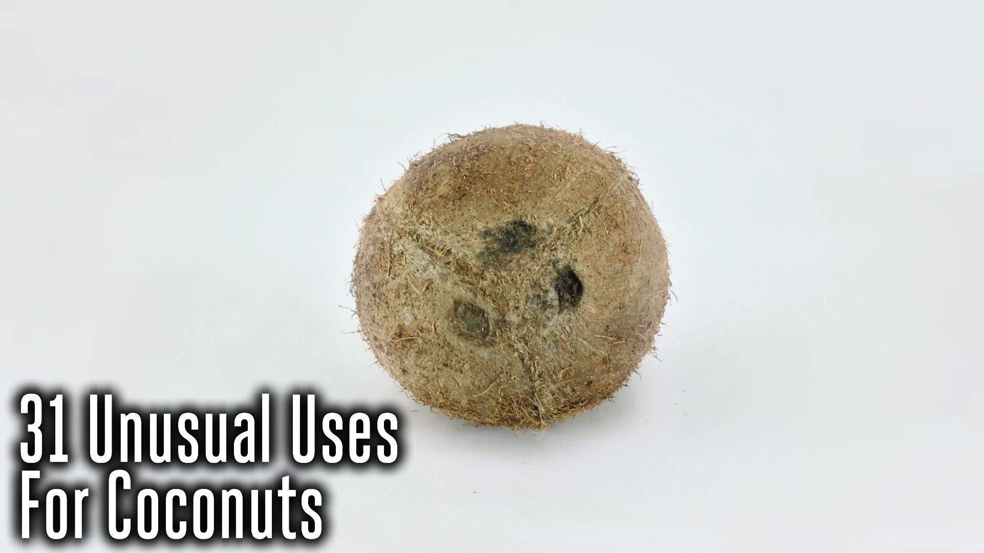 31 Unusual Uses for Coconuts : 31 Steps (with Pictures) - Instructables