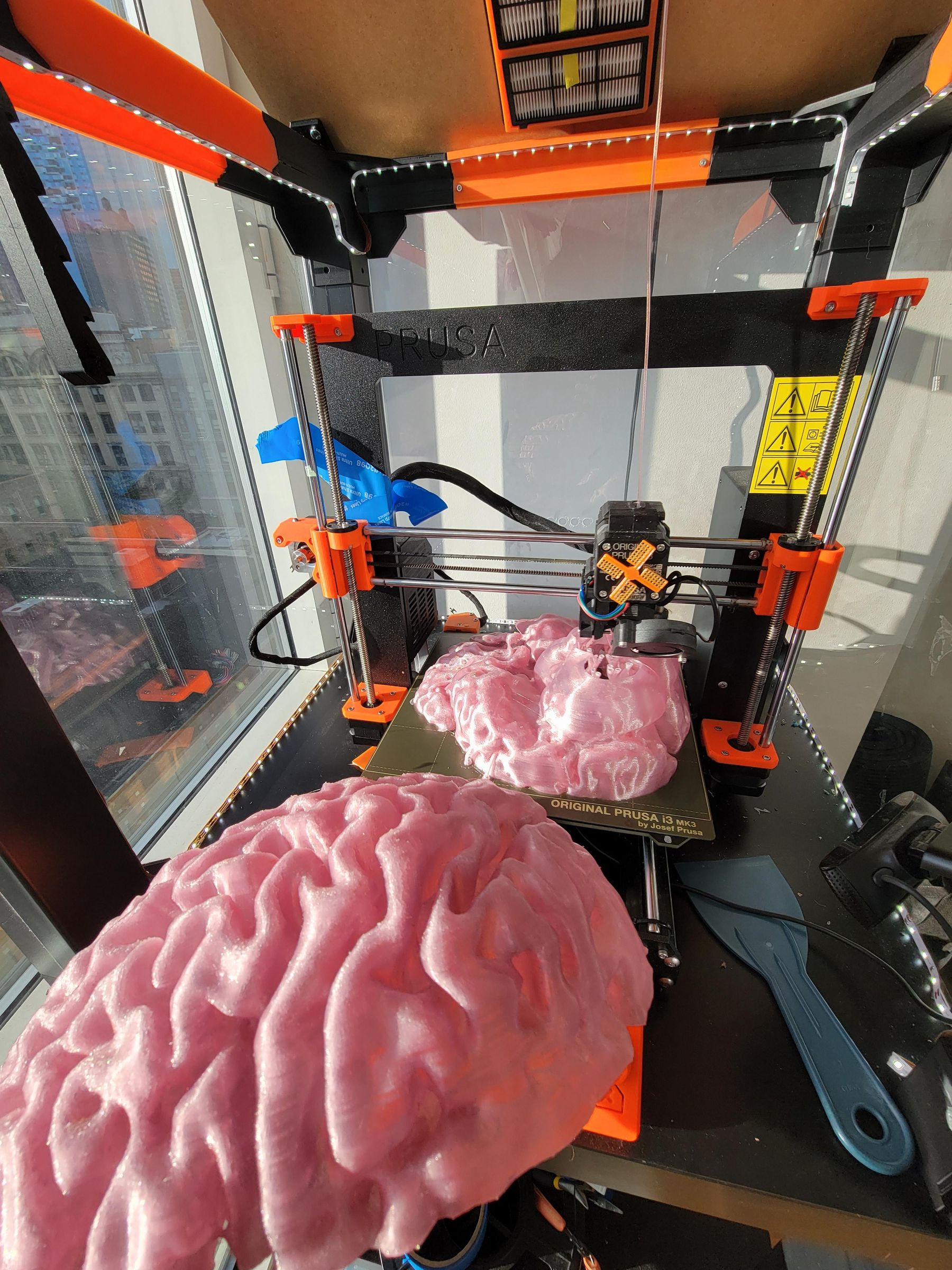 How To: From MRI to 3D Printed Brain Lamp : 4 Steps (with Pictures) - Instructables