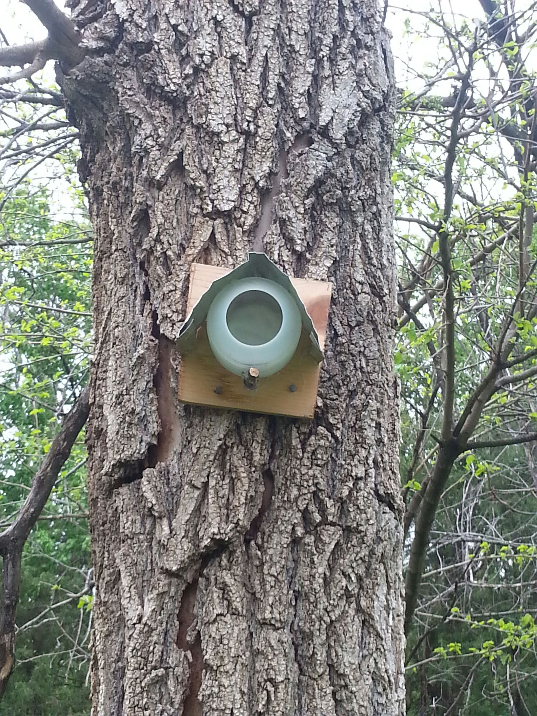 Great Easy Bird House for Kids : 5 Steps - Instructables