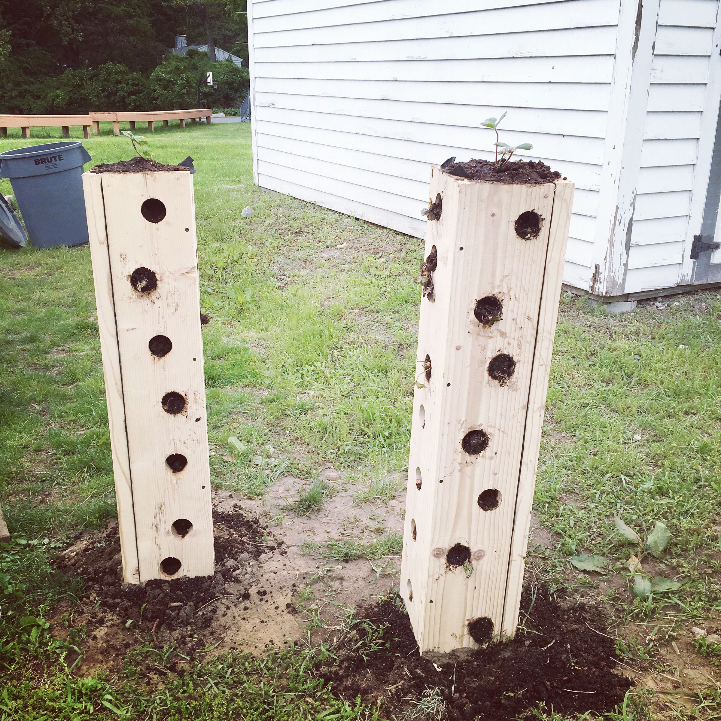 Tech & Engineering Class: Strawberry Towers : 8 Steps (with Pictures ...