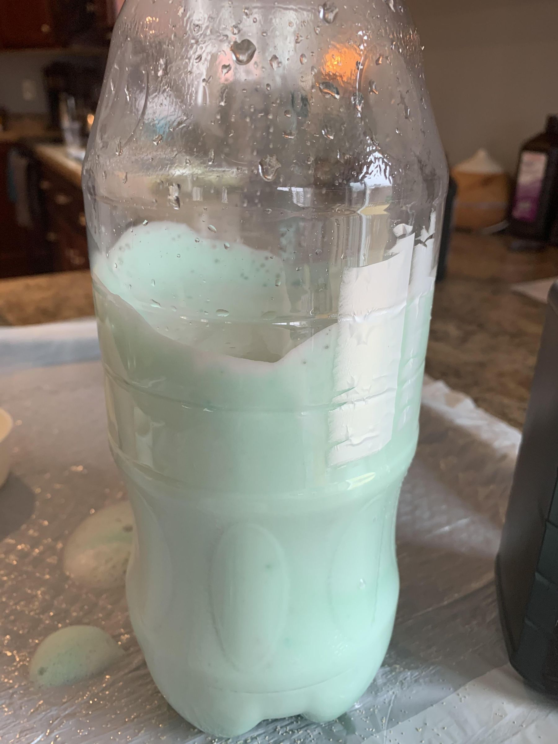 The Elephant Toothpaste Experiment : 11 Steps (with Pictures ...
