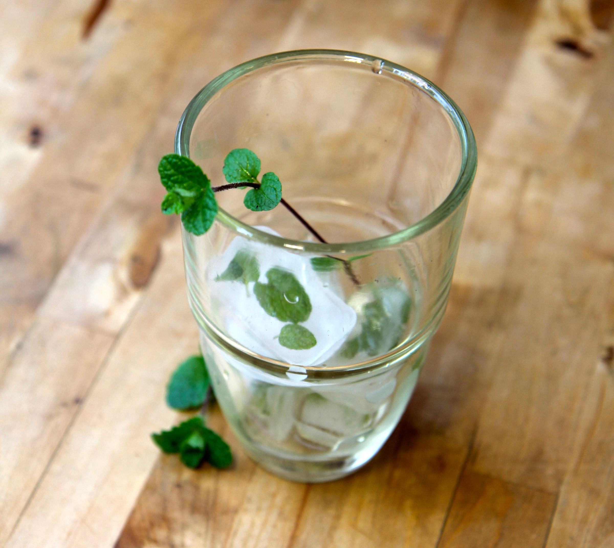 Freezing Fresh Herbs : 5 Steps (with Pictures) - Instructables