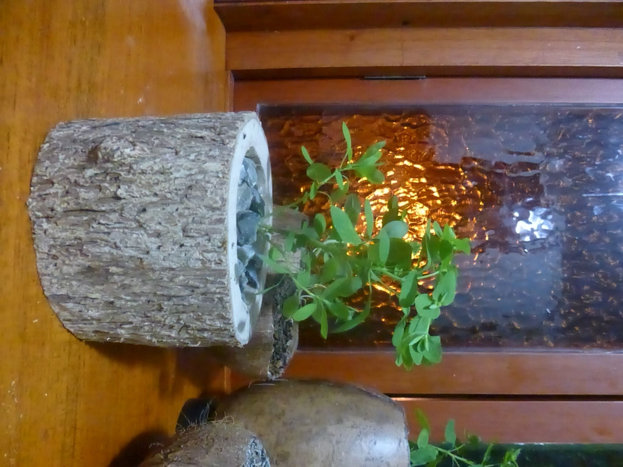 ORGANIC PLANTERS : 3 Steps - Instructables