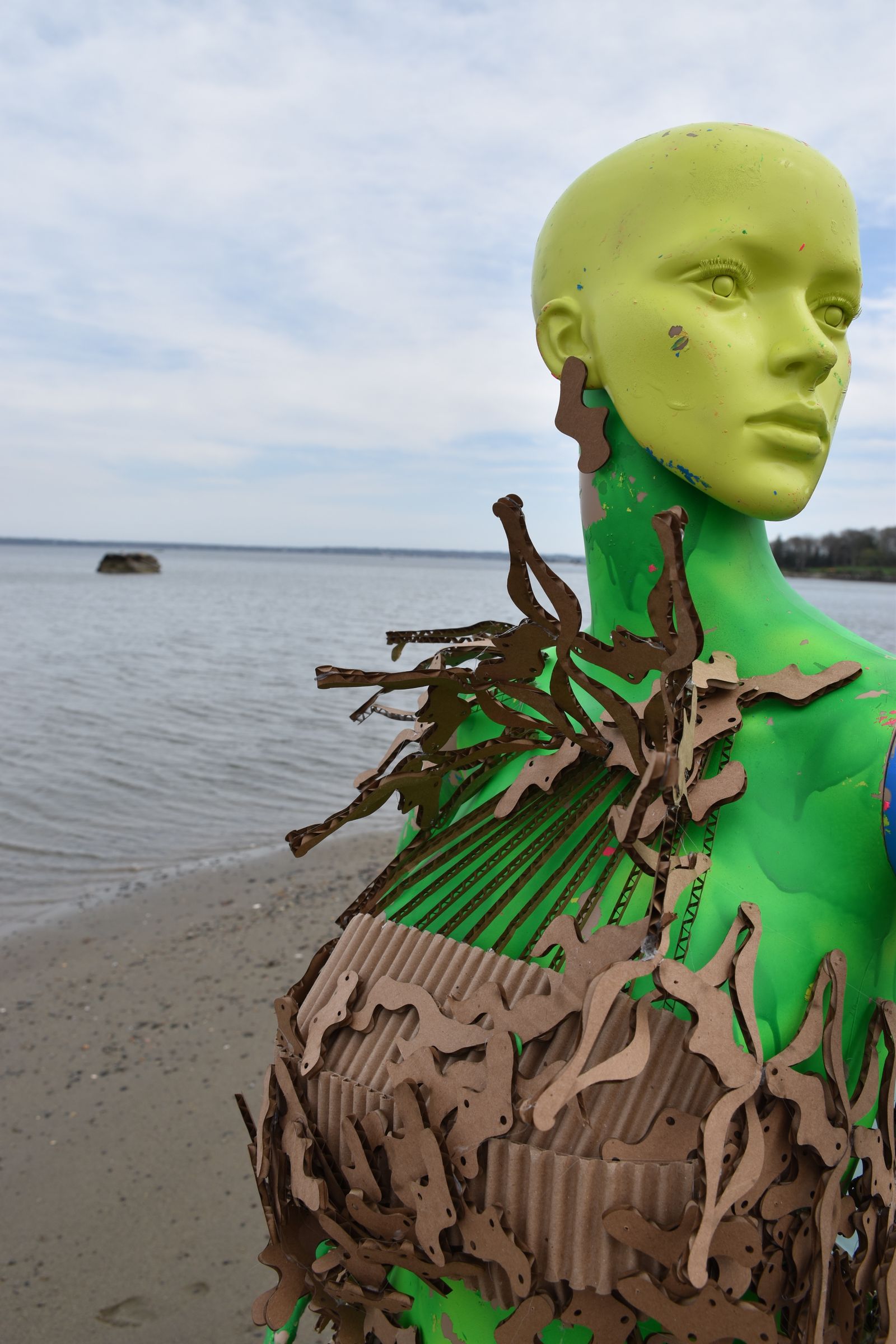 The Cardboard Collection : 5 Steps - Instructables