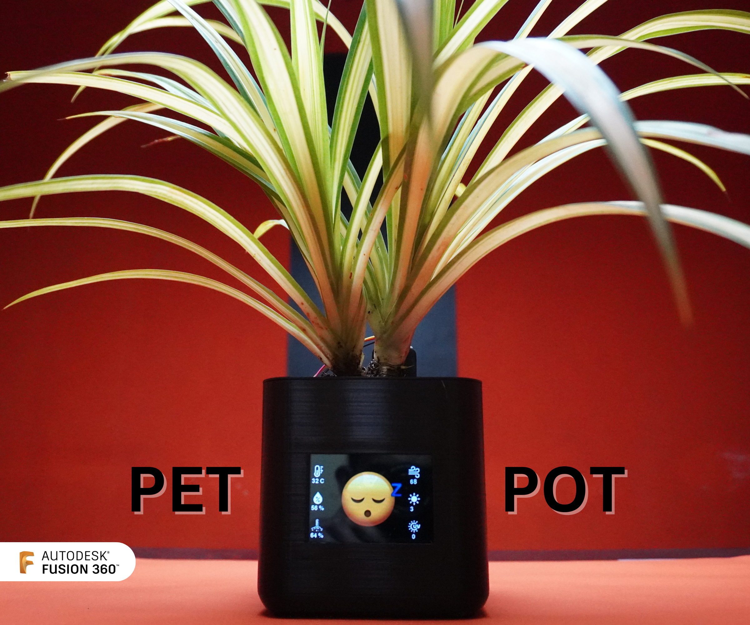 Pet Pot : 11 Steps (with Pictures) - Instructables