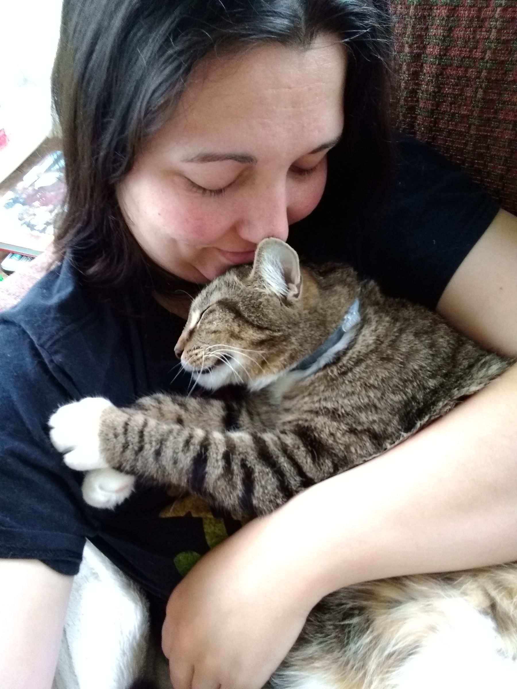 How To: Lull Your Cat to Sleep : 14 Steps (with Pictures) - Instructables