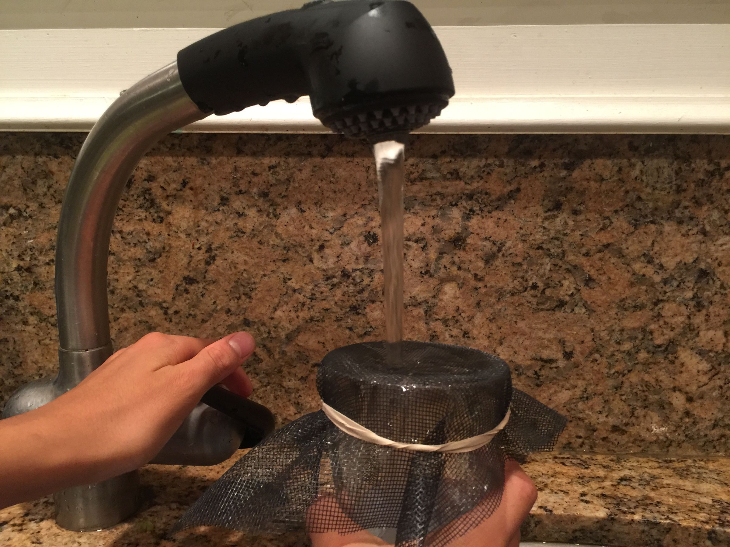 Surface Tension~Through Expirements : 4 Steps - Instructables