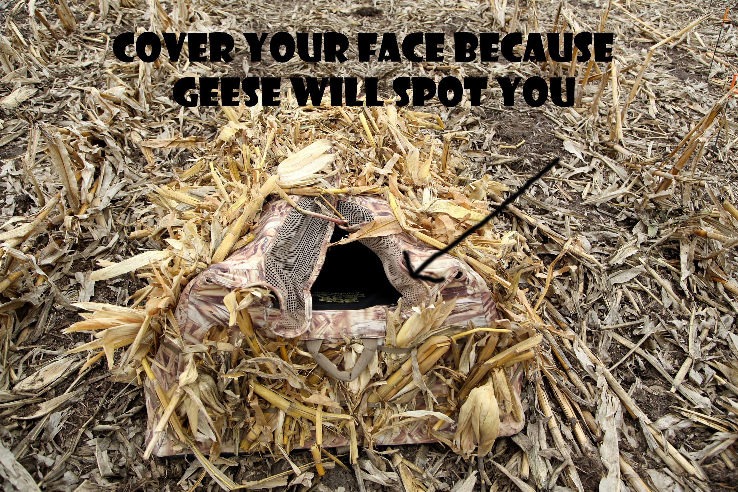 How to Set Up Goose Decoys : 7 Steps - Instructables