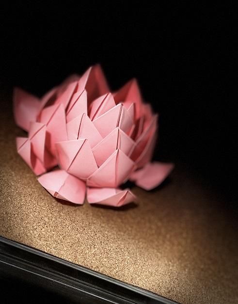 Origami Water Lily