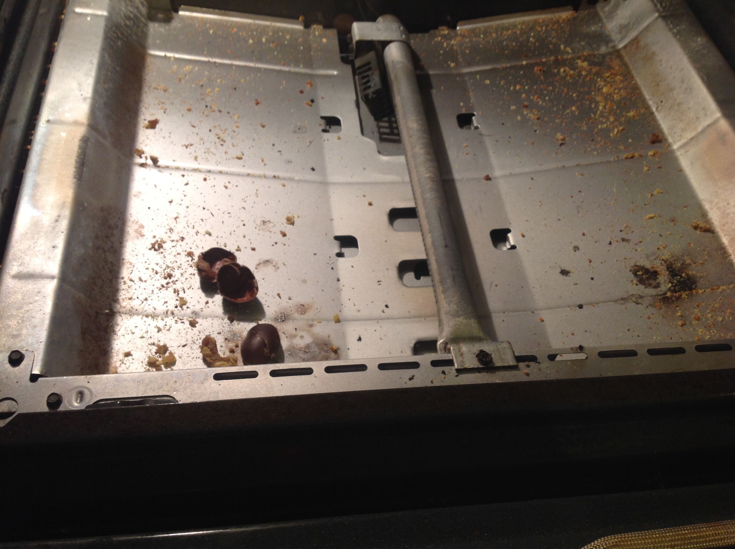 Spectacular Roasting Chestnut Explosion - Instructables