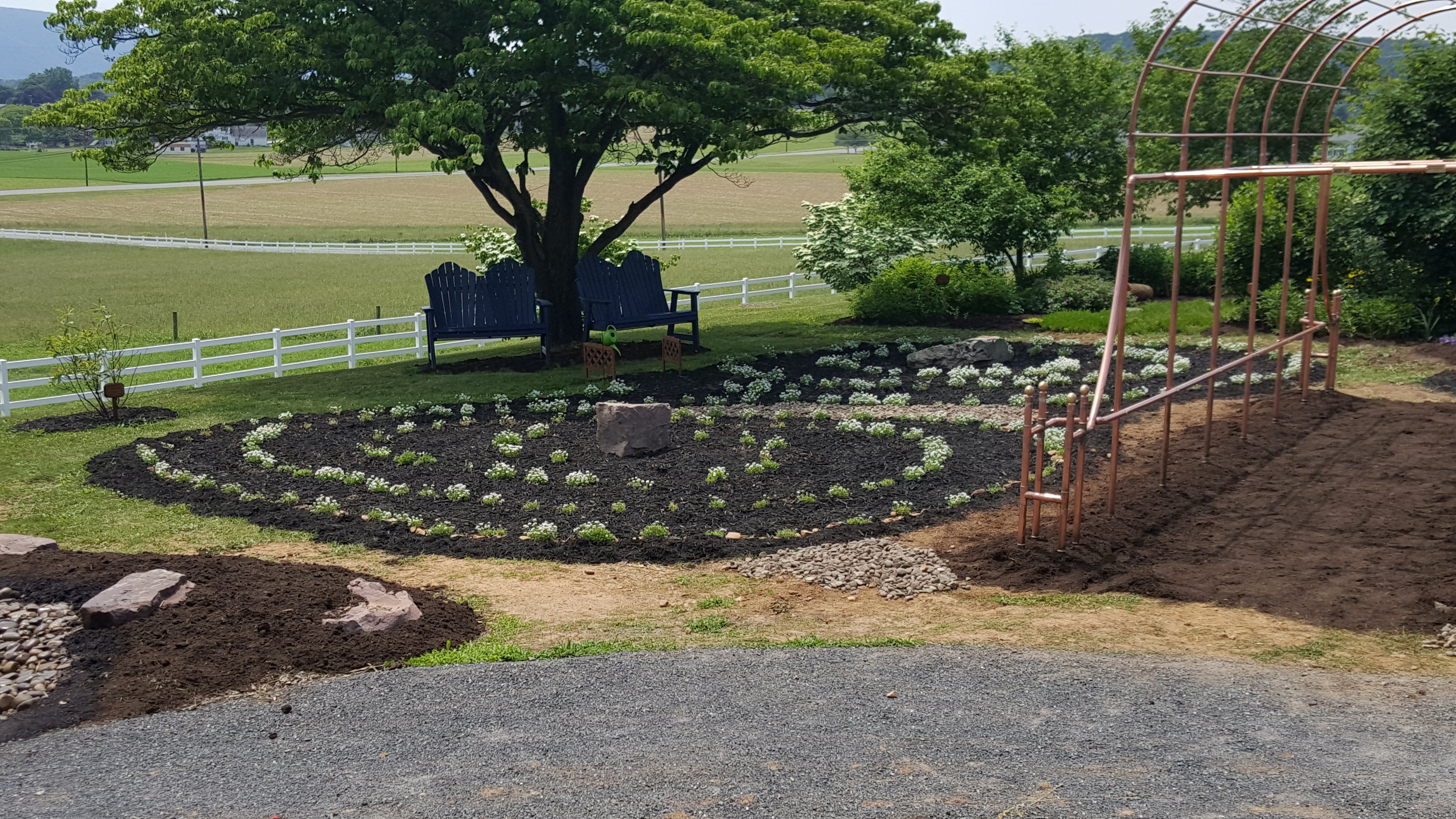 Pipe Trellis : 10 Steps (with Pictures) - Instructables