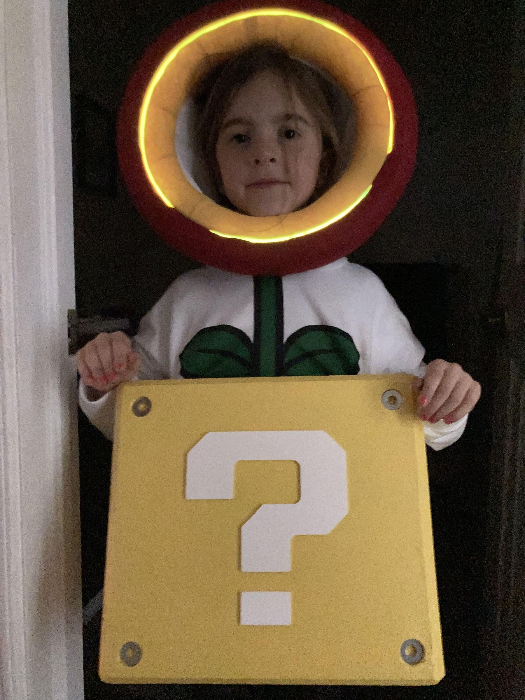 Kid's Nintendo Fire Flower Question Box Costume : 7 Steps (with ...