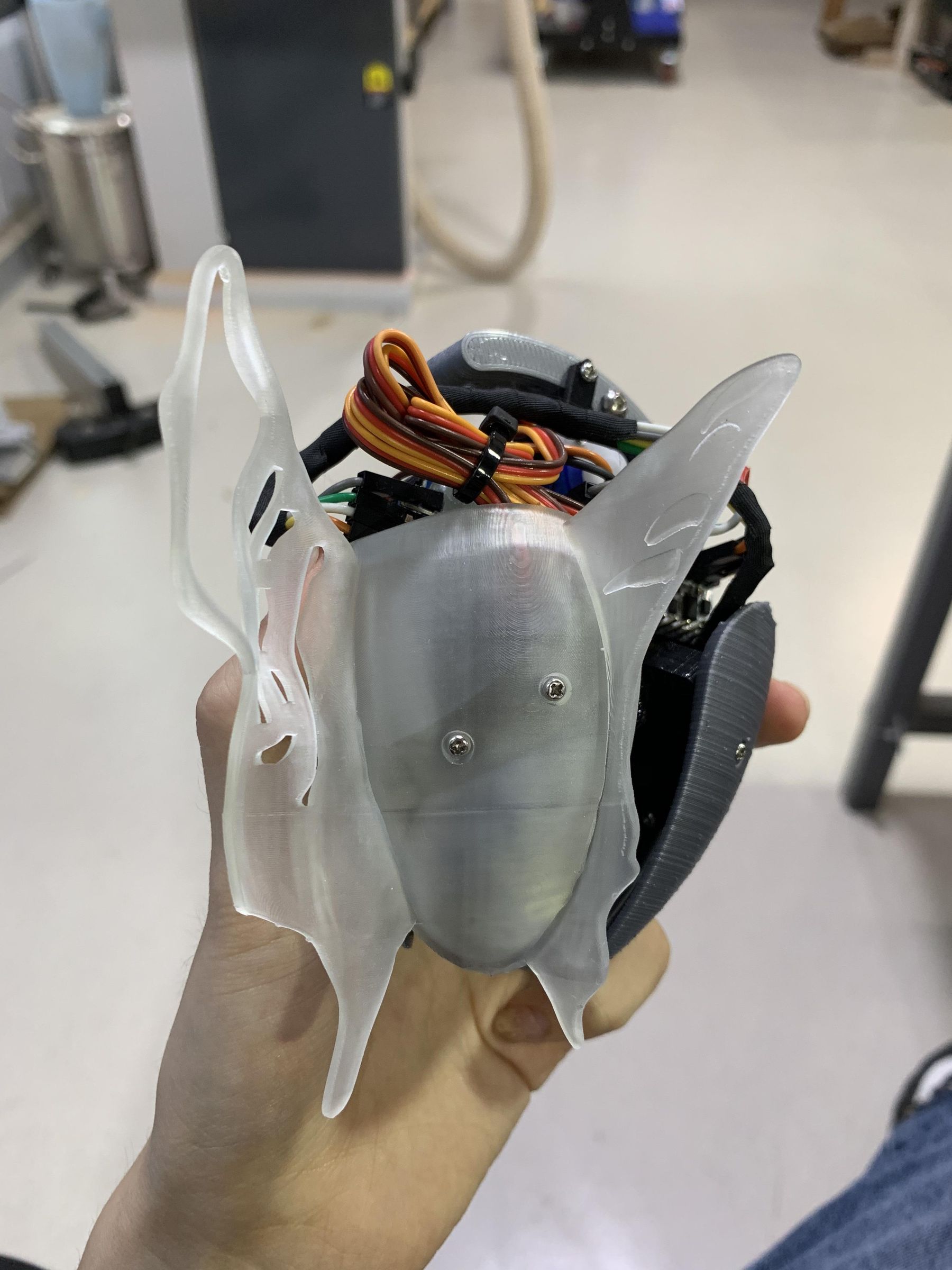 Beating Heart : 11 Steps (with Pictures) - Instructables