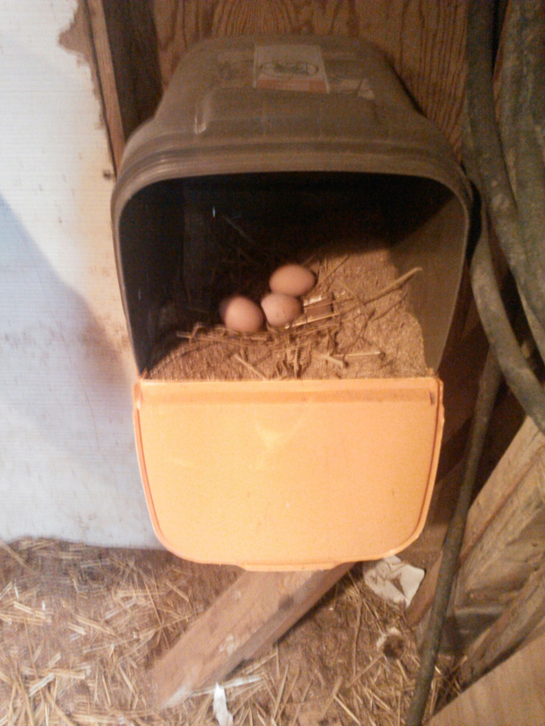 Cheap Chicken Nesting Box - Instructables