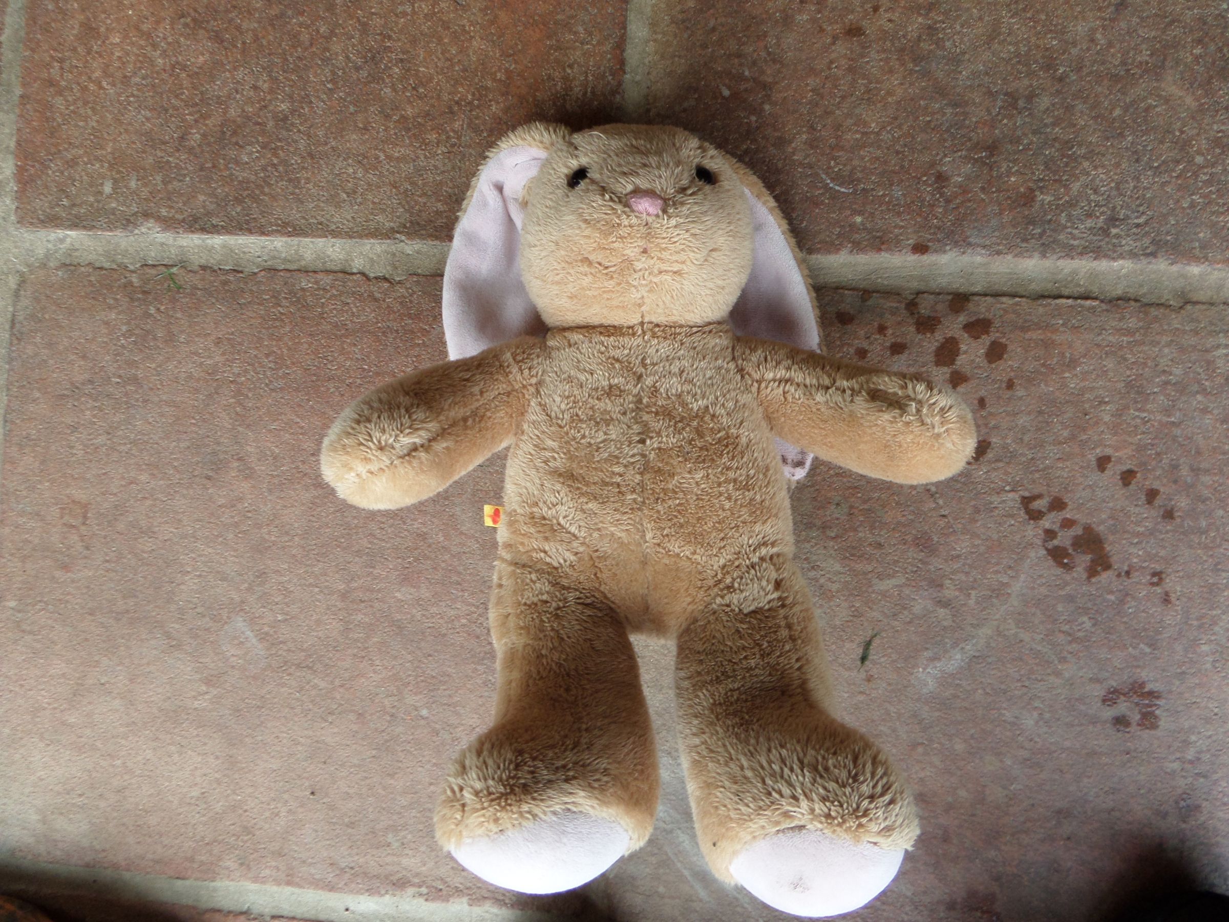 Teddy Halloween Prop : 5 Steps (with Pictures) - Instructables