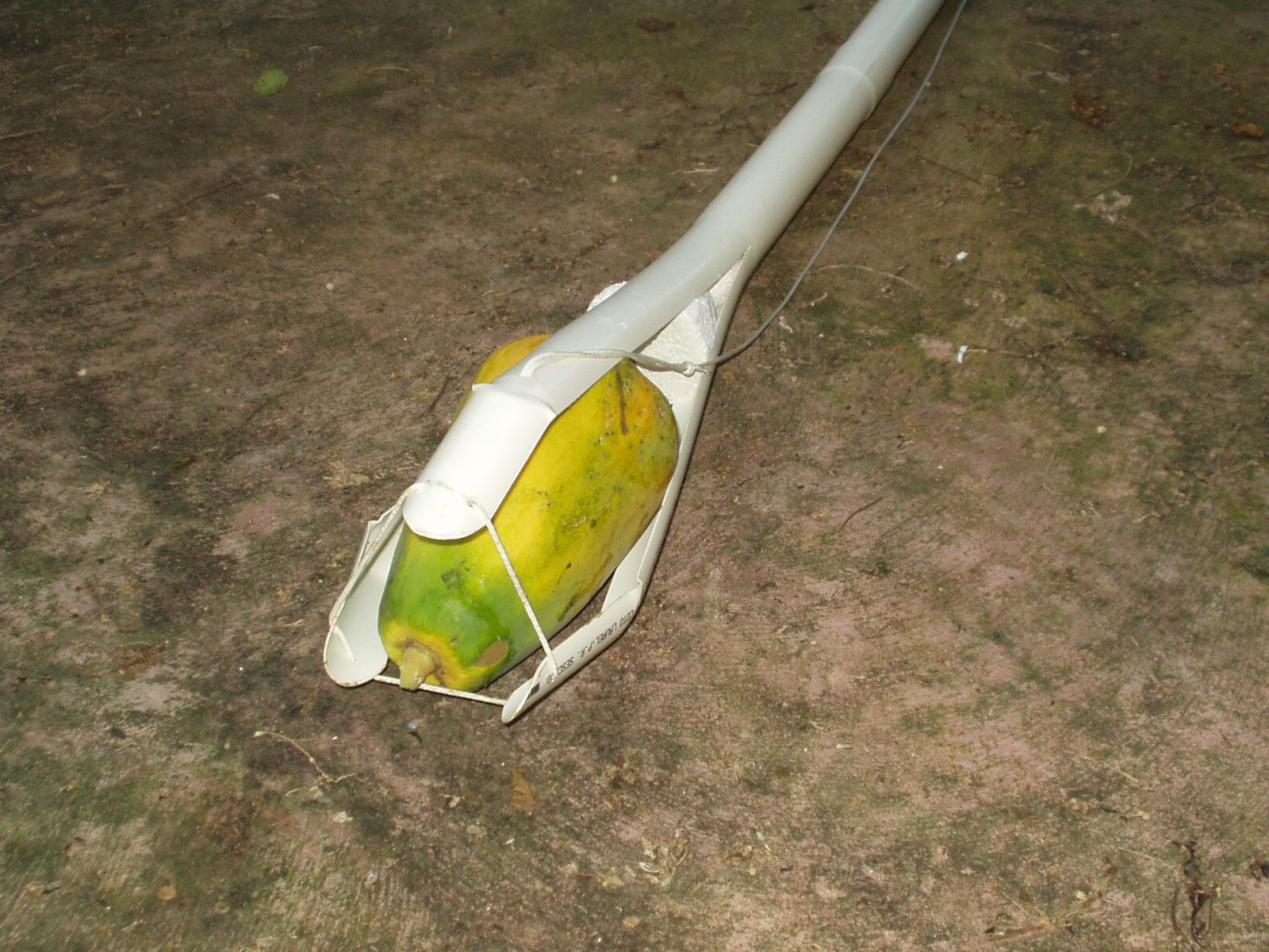 Papaya Picker : 7 Steps (with Pictures) - Instructables