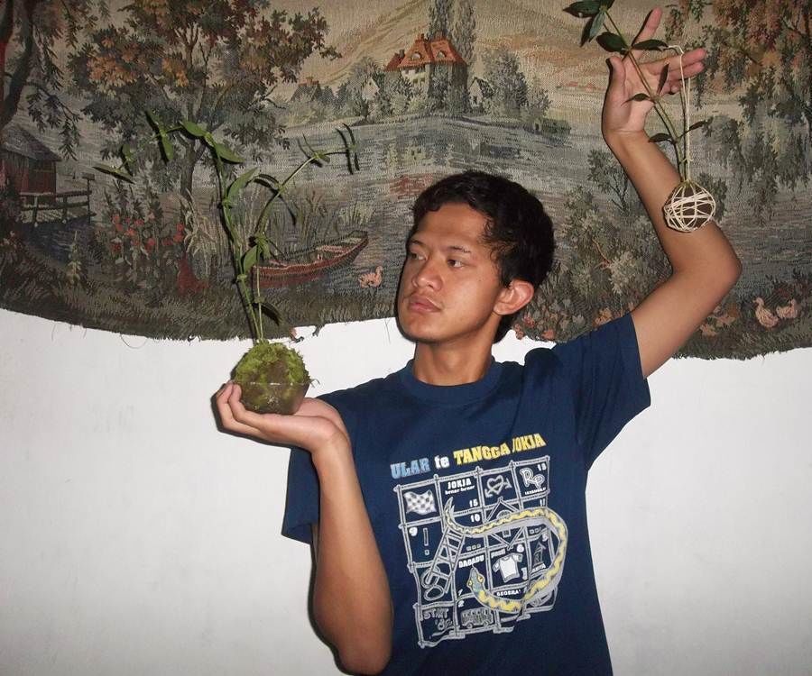 KOKEDAMA: a Unique Way to Grow a Plant : 8 Steps (with Pictures ...