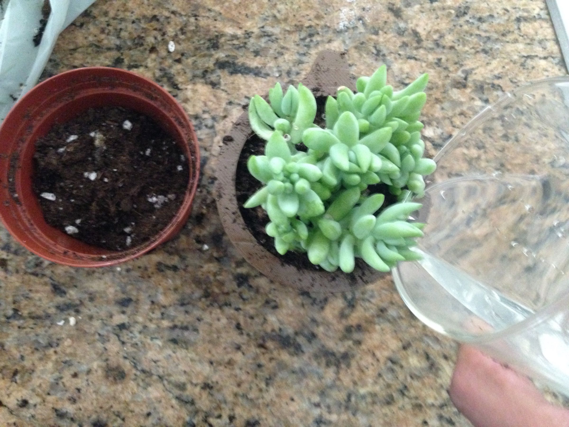 How to Finish 3D Printed PLA Objects : 5 Steps (with Pictures ...