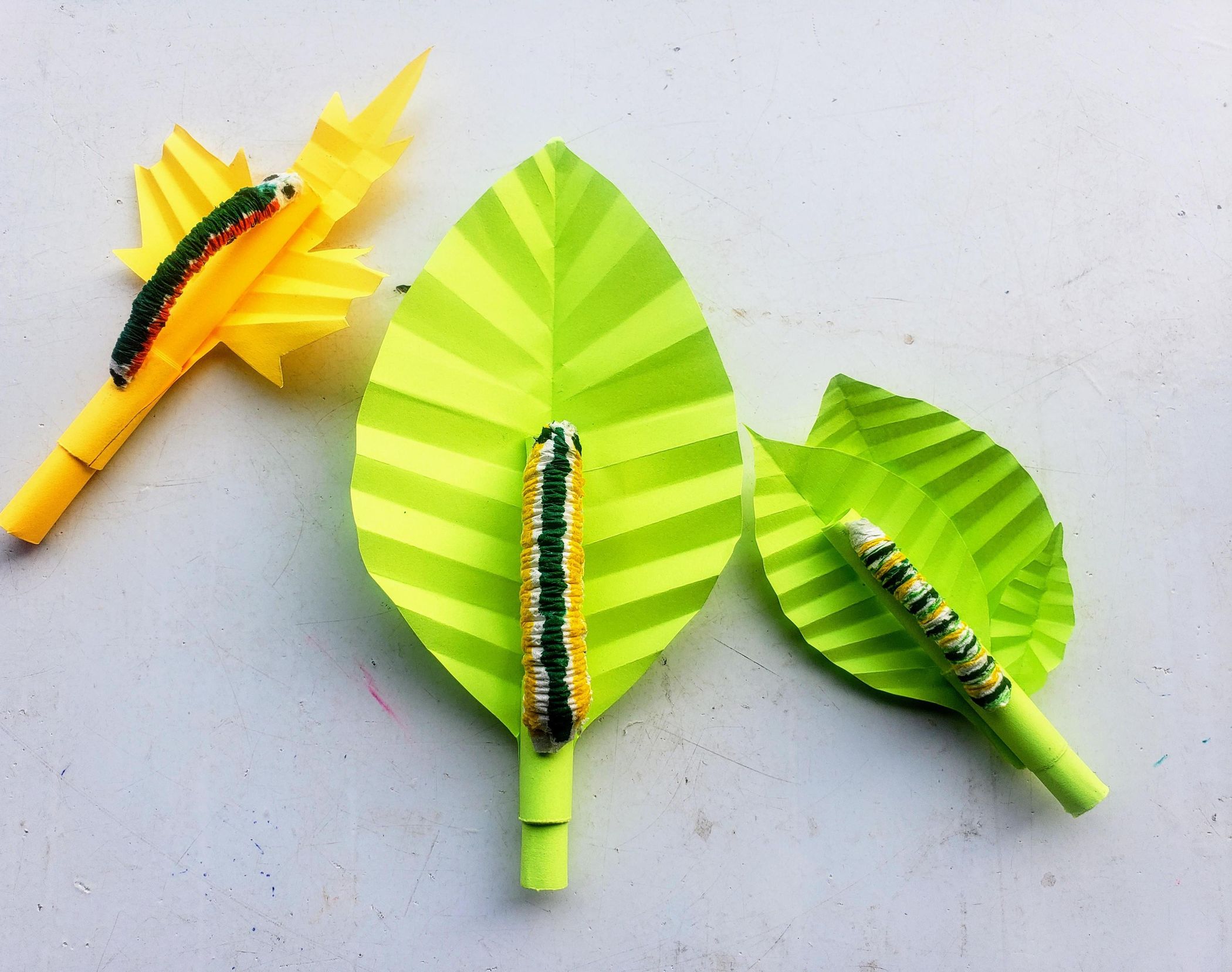 Super Simple DIY Fun Paper Wriggling Caterpillar. : 10 Steps (with ...