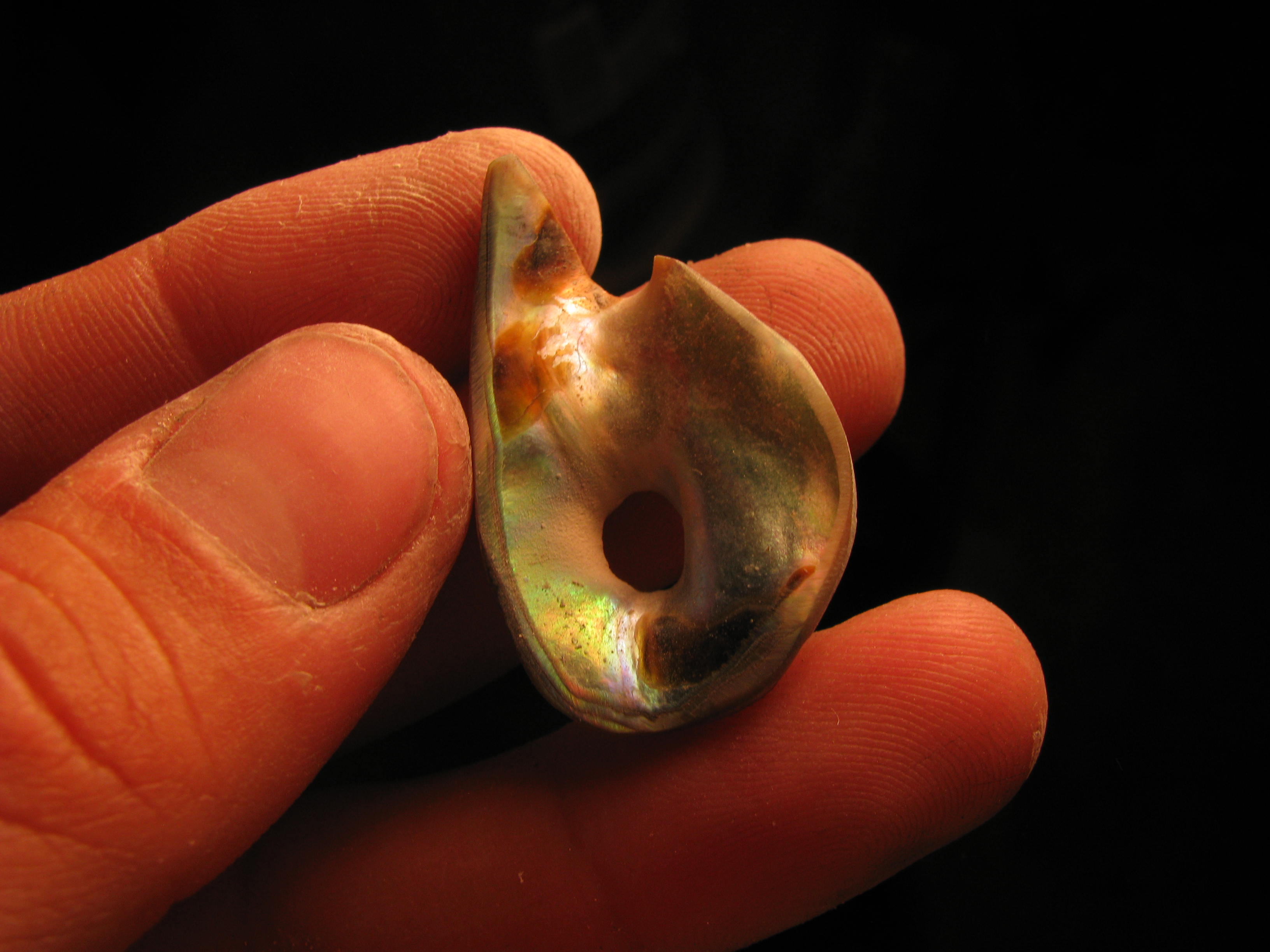 How to Polish Sea Shell : 4 Steps - Instructables