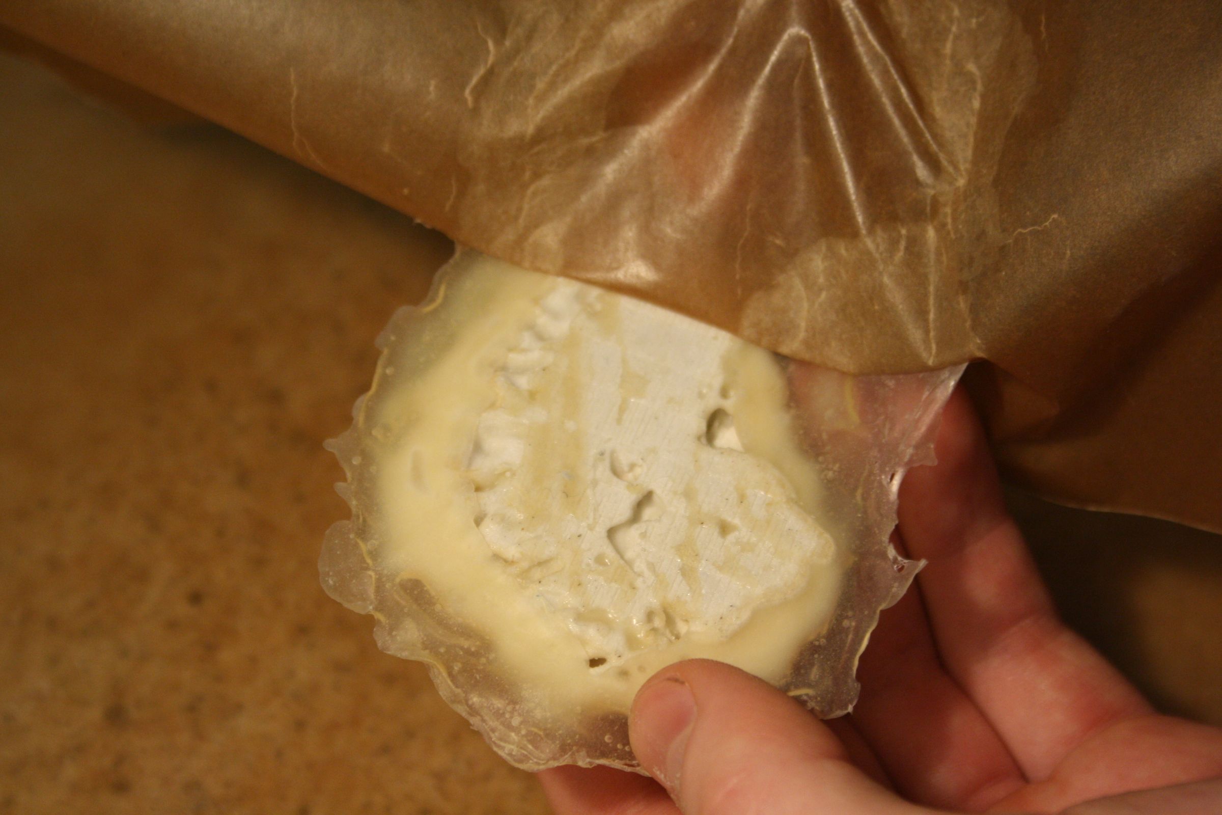 Edible Chocolate Brain From MRI Scan : 9 Steps (with Pictures ...