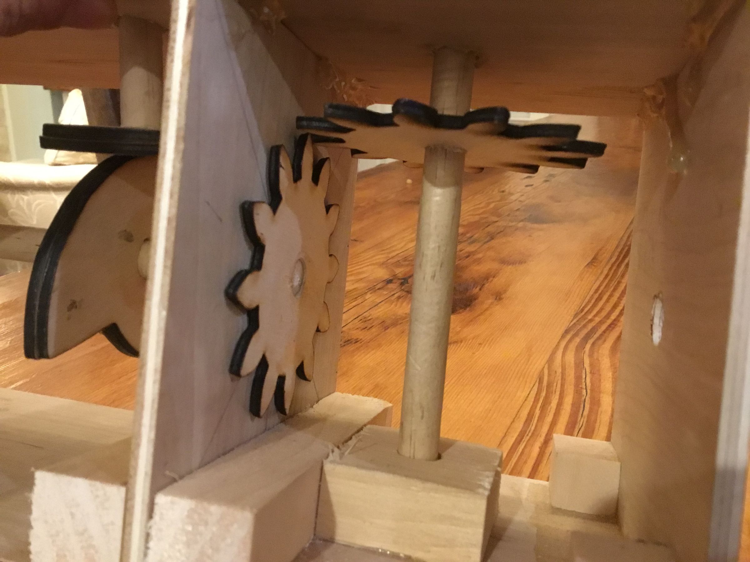 Cat and Mouse Automata : 10 Steps - Instructables