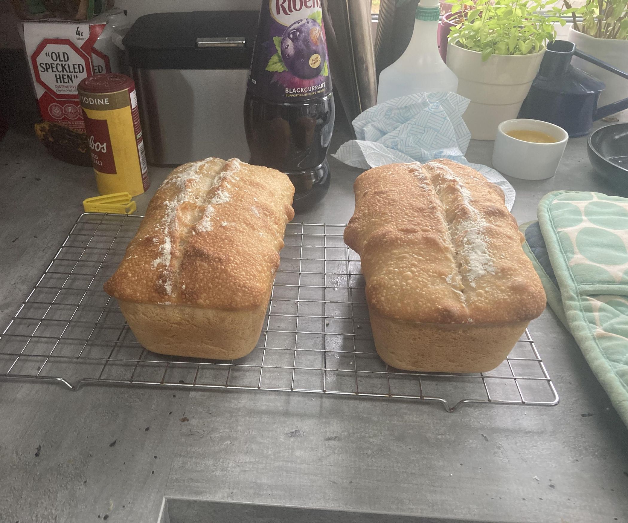 Sourdough Bread : 4 Steps - Instructables