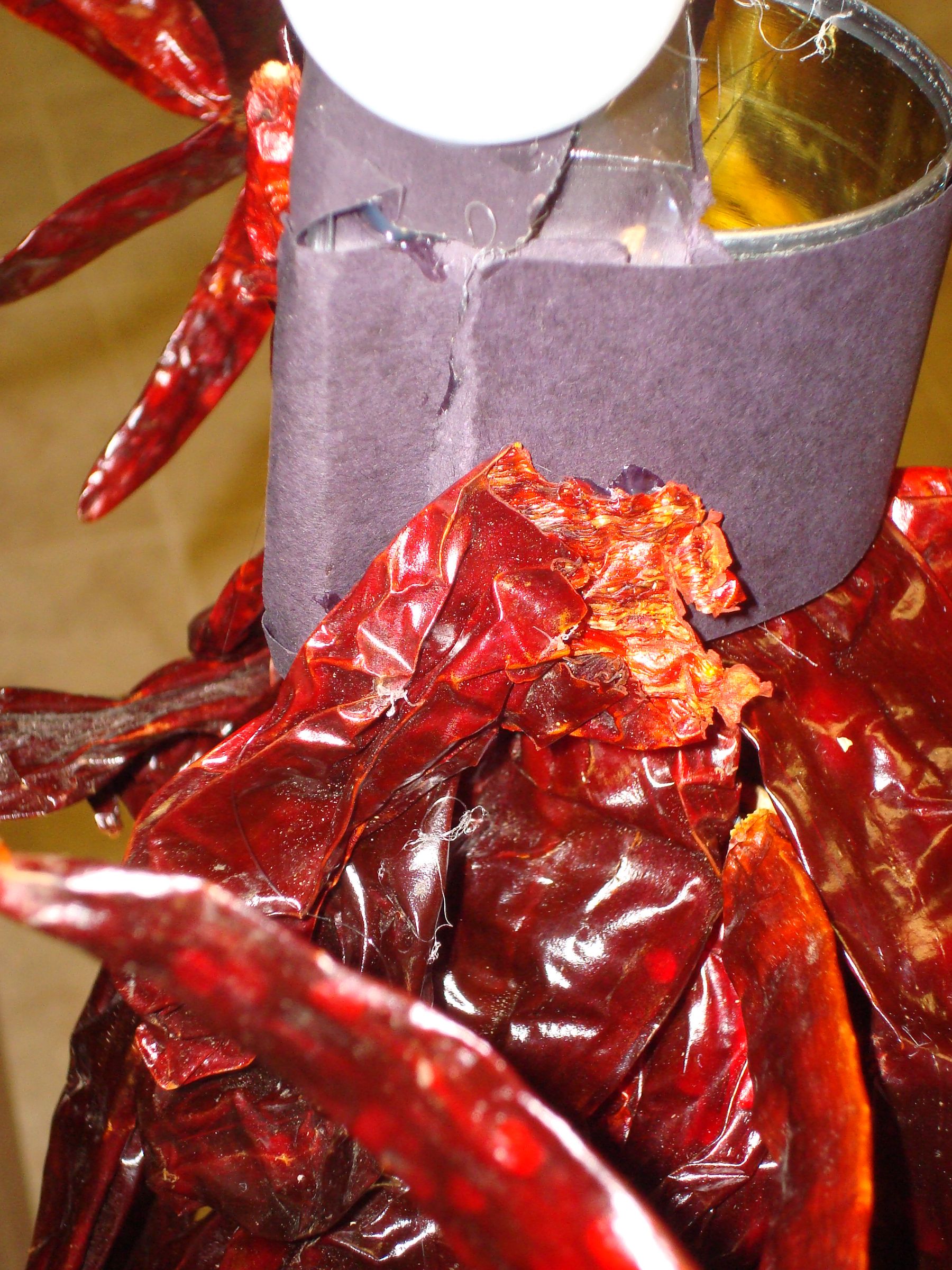 Chili Ristra Monster : 7 Steps - Instructables