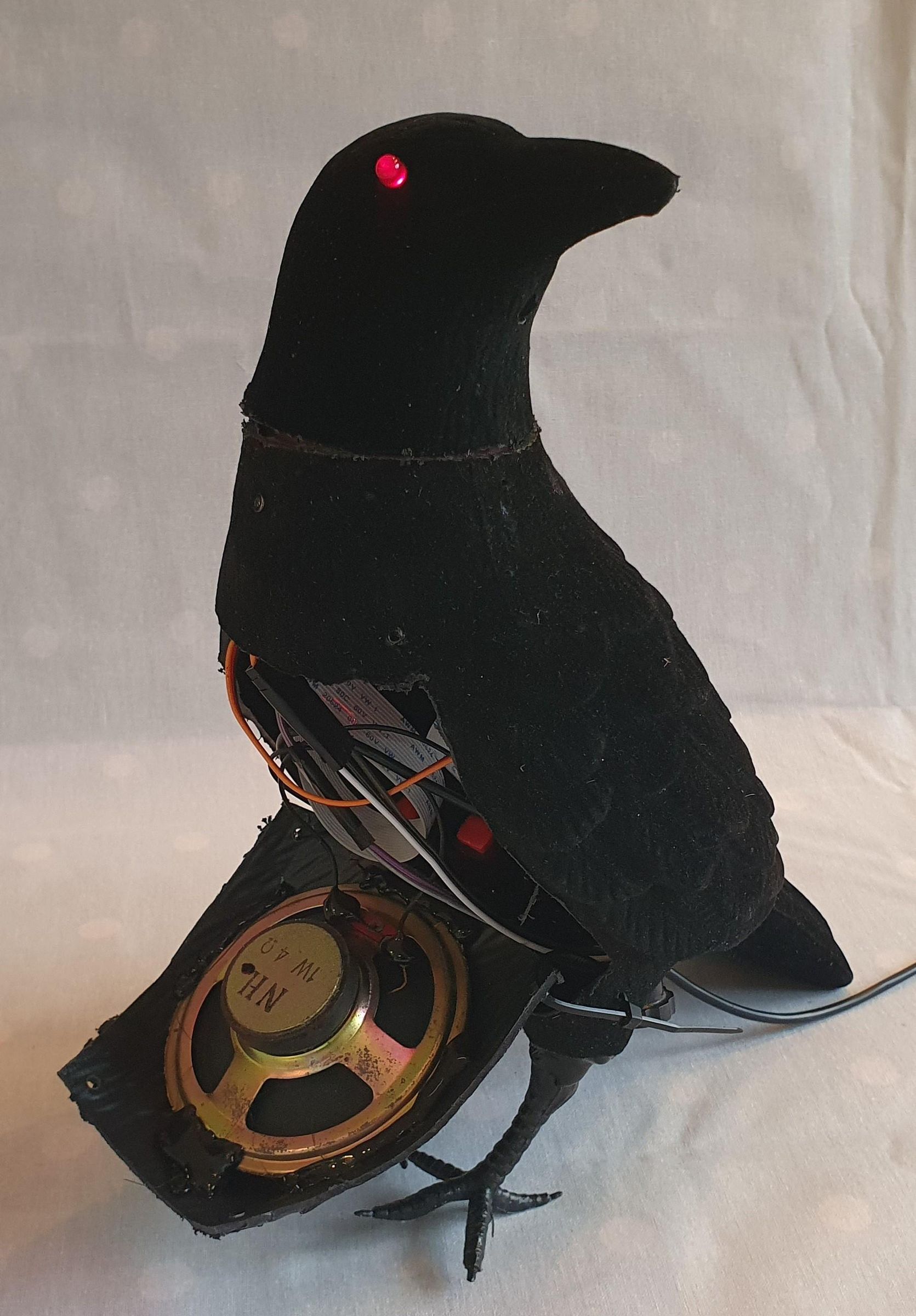 Raven Pi Security Camera : 7 Steps (with Pictures) - Instructables