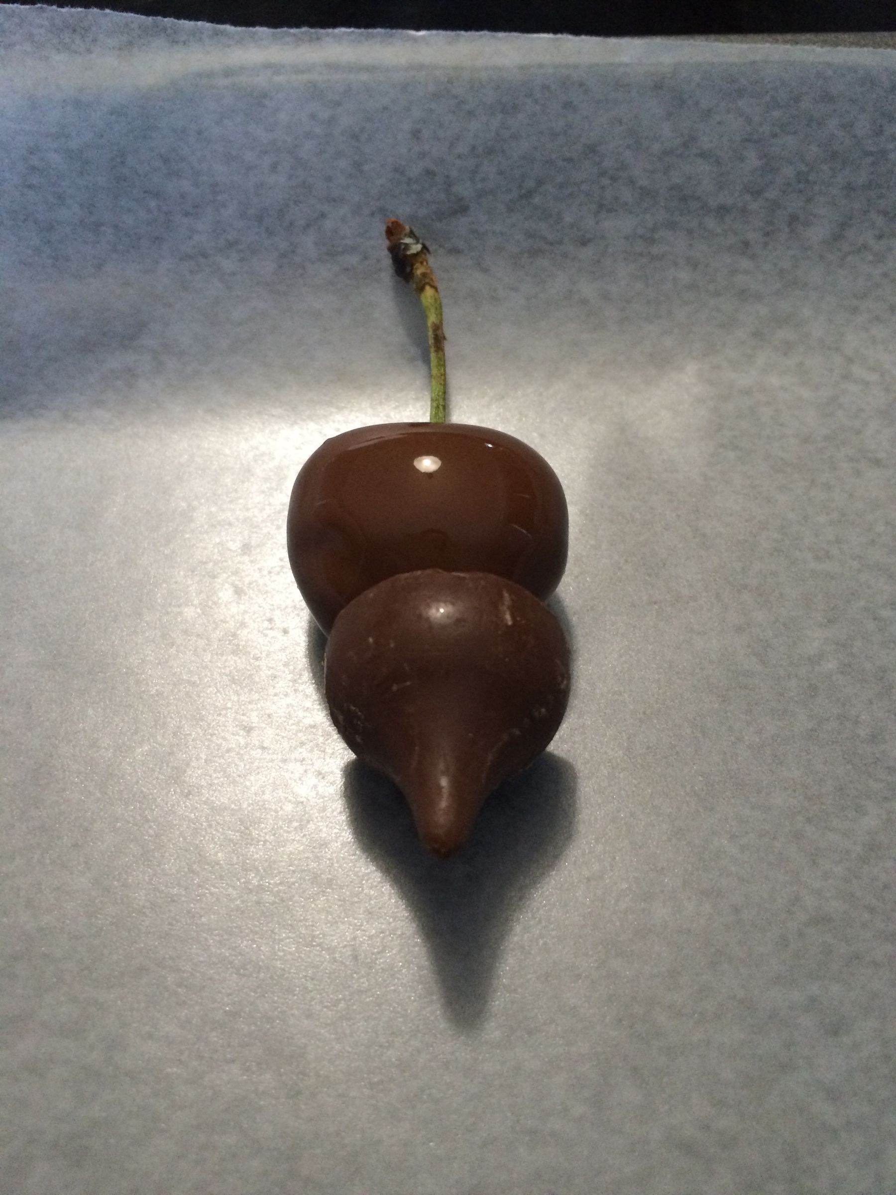 Chocolote Mouse/Mice (with Pictures) - Instructables