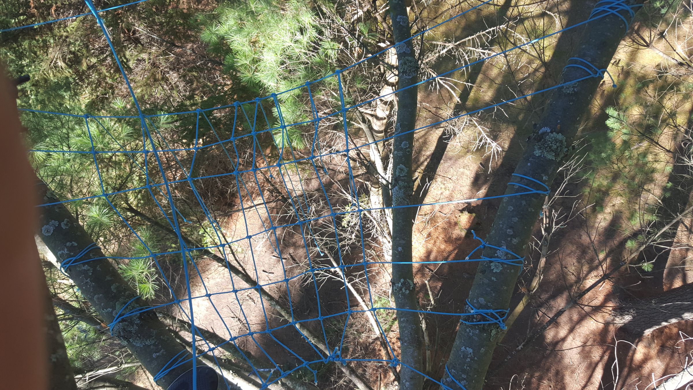 Tree Net : 5 Steps (with Pictures) - Instructables