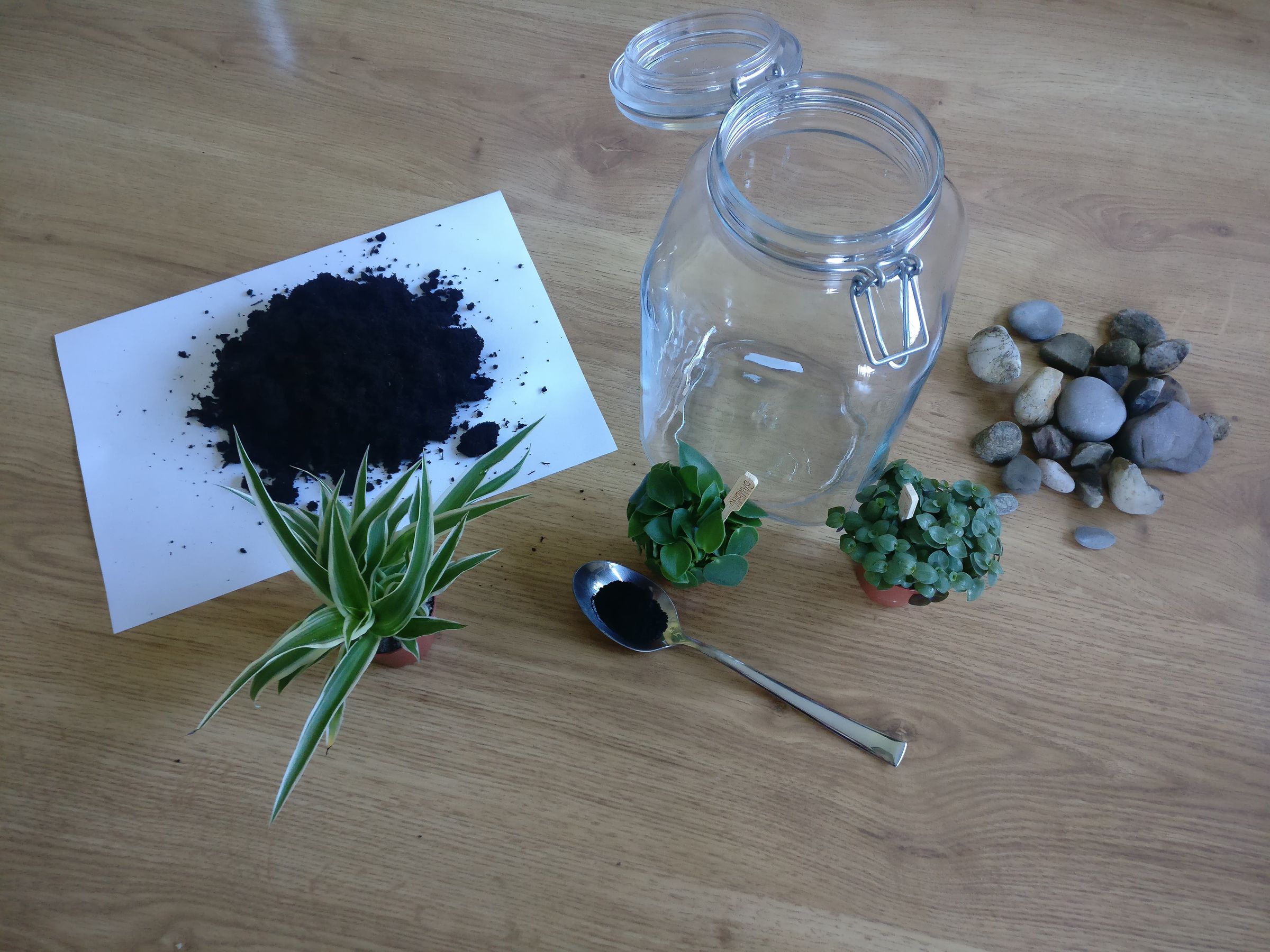 Do It Your-self Sustaining Ecosystem- : 6 Steps (with Pictures ...