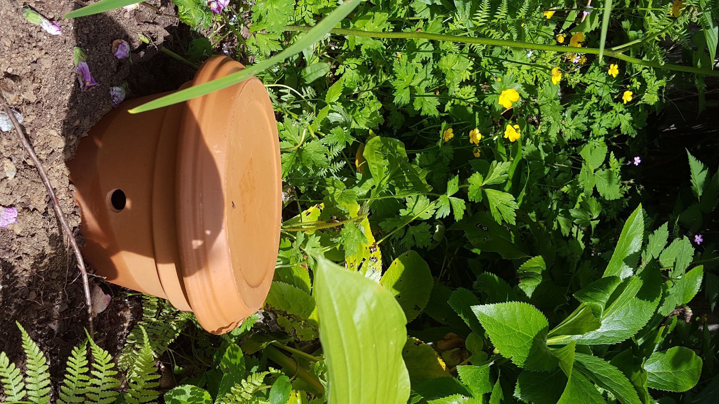 Bumble Bee Nest : 3 Steps (with Pictures) - Instructables