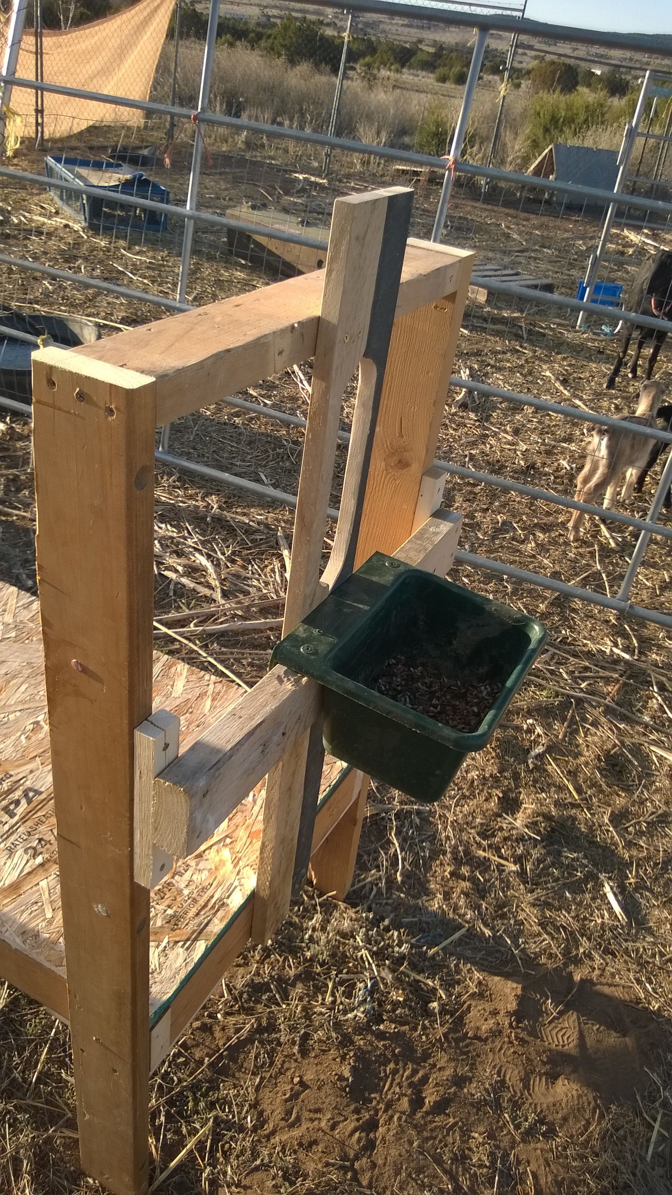 Goat Stand : 6 Steps (with Pictures) - Instructables