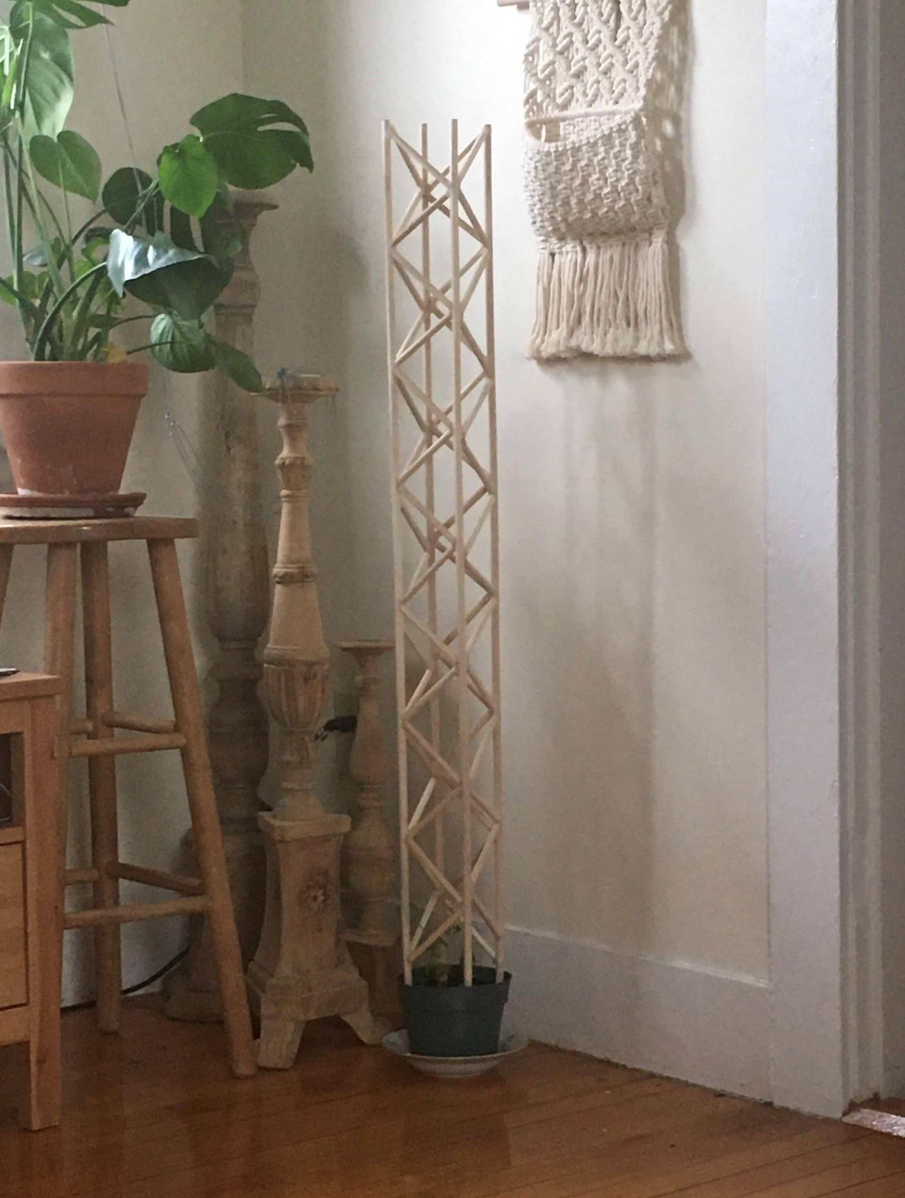 Indoor Hops Trellis : 5 Steps - Instructables