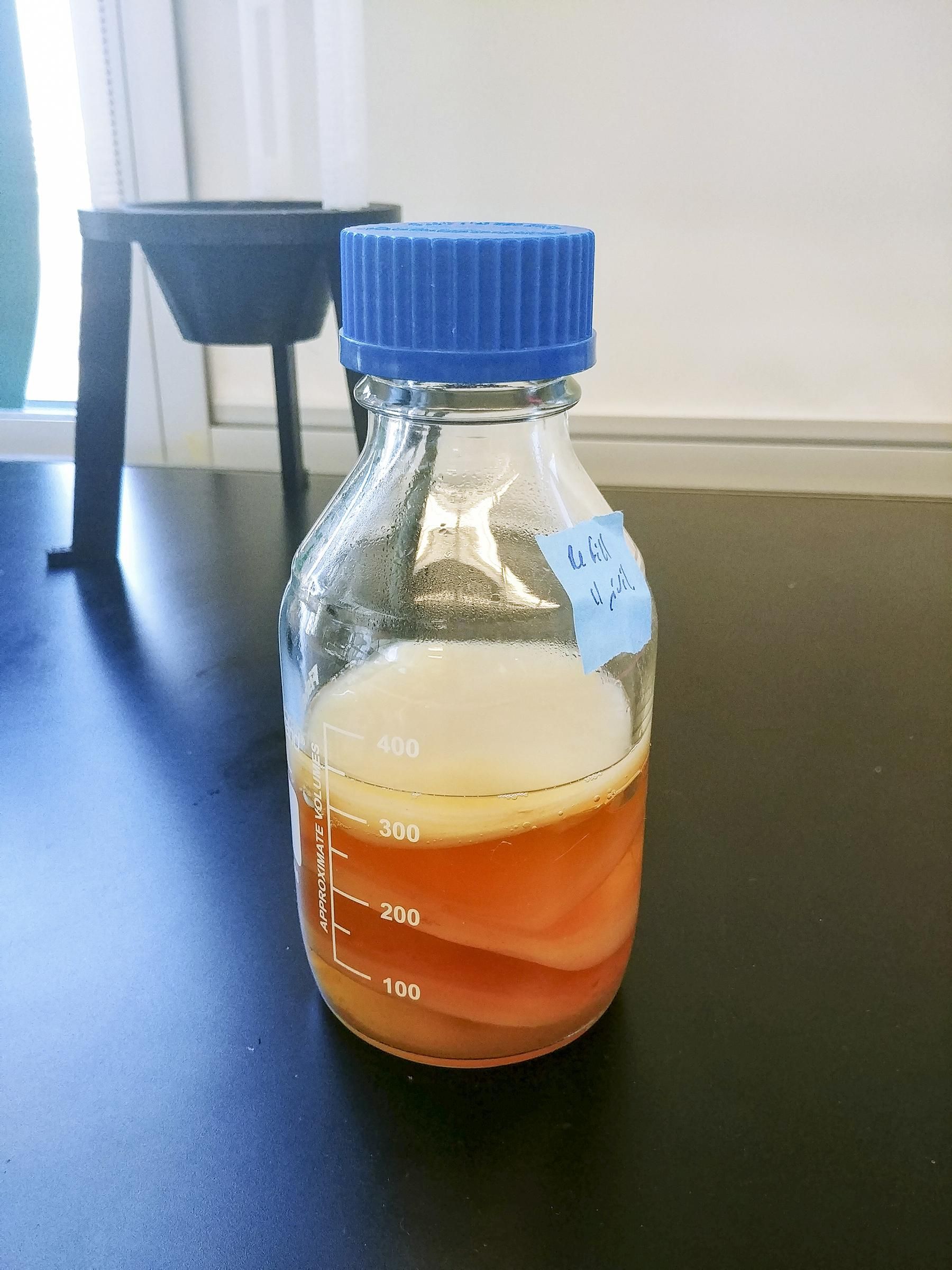 DIY Kombucha - Bacterial Cellulose Fermentor : 19 Steps (with Pictures ...