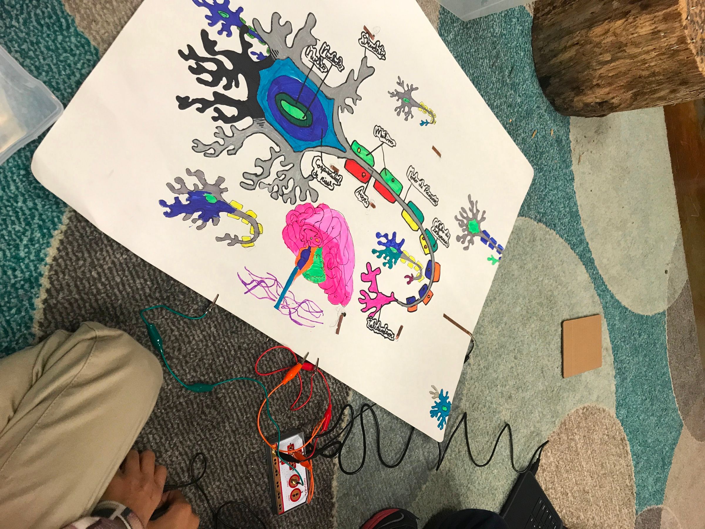 Make an Interactive Science Exhibit : 7 Steps (with Pictures ...