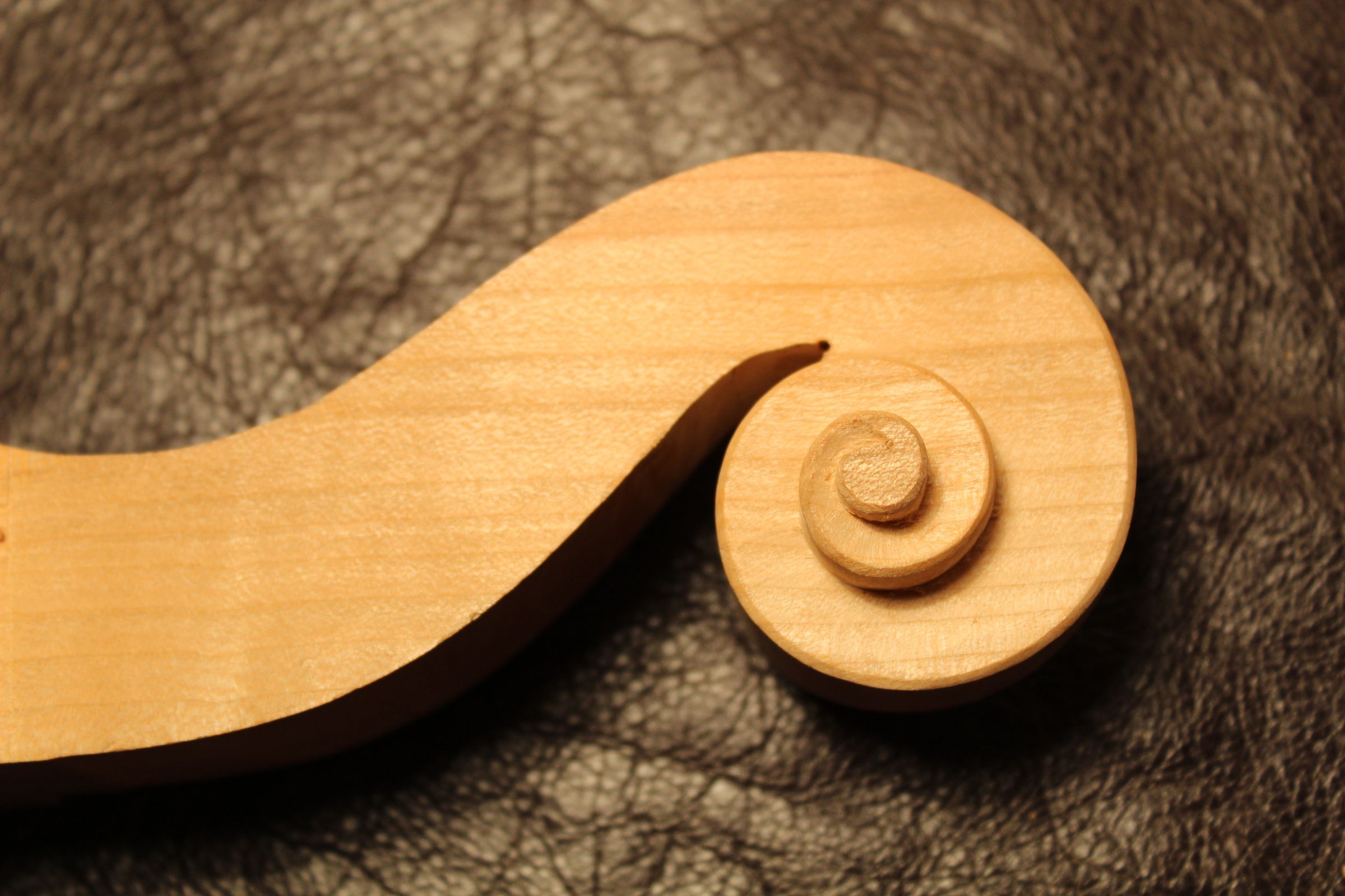 The Birth of a Volute : 7 Steps (with Pictures) - Instructables